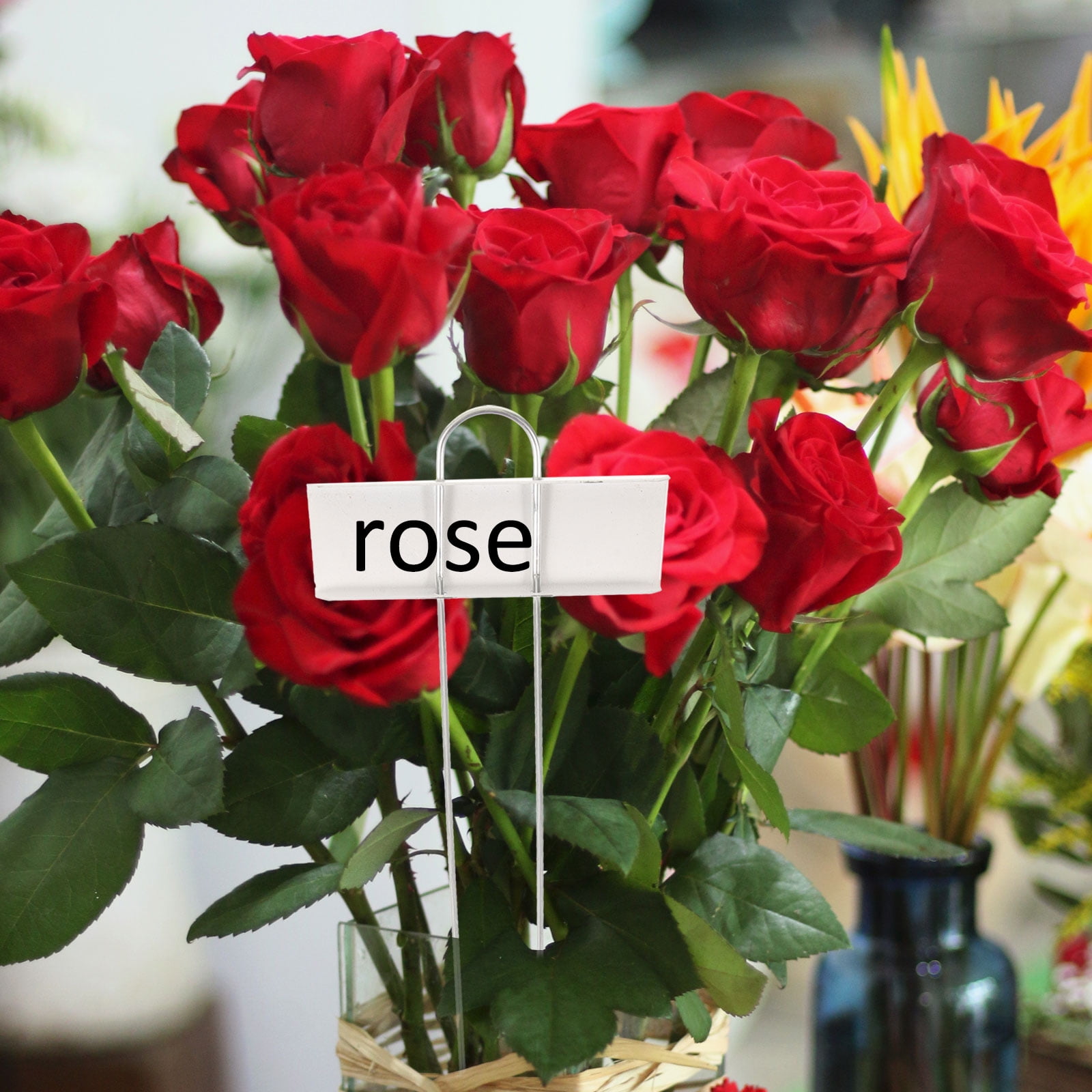 HEMOTON 12Pcs Metal Plant Label Metal Garden Labels Markers Plant Name ...