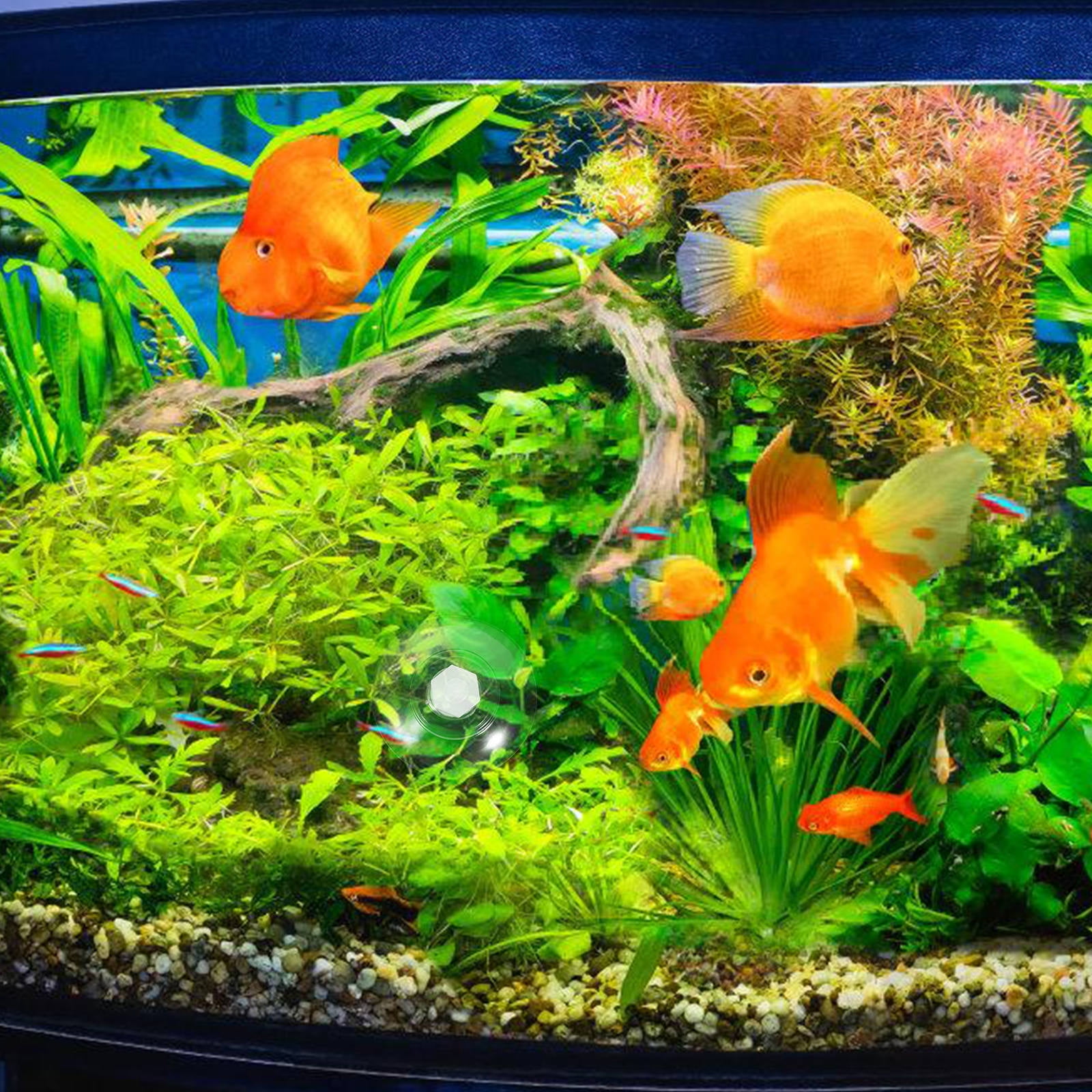 HEMOTON 16pcs Fish Tank Suction Cups with Screw Nut for Aquarium Easy ...