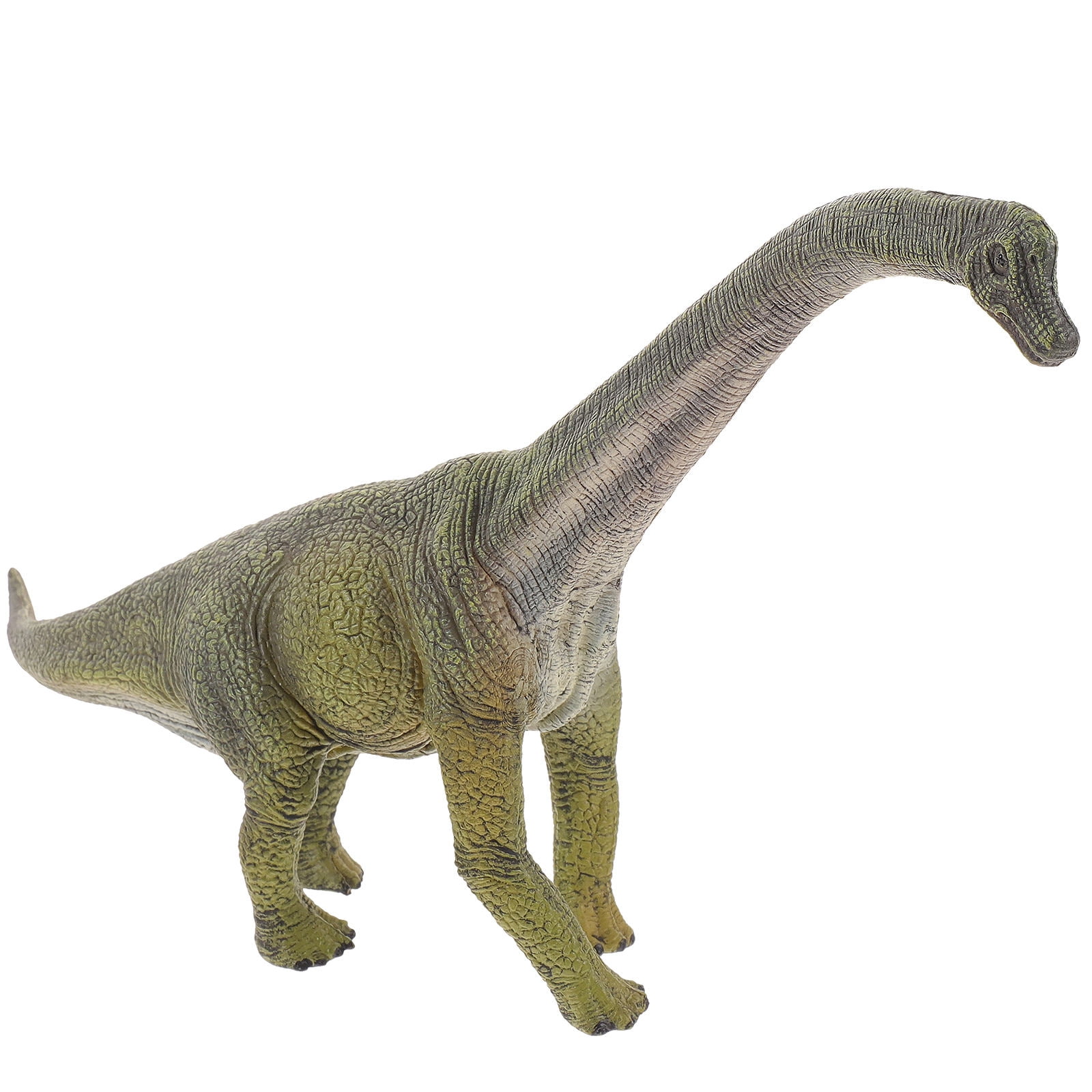 HEMOTON 1Set Plastic Brachiosaurus Model for Kids with Realistic ...