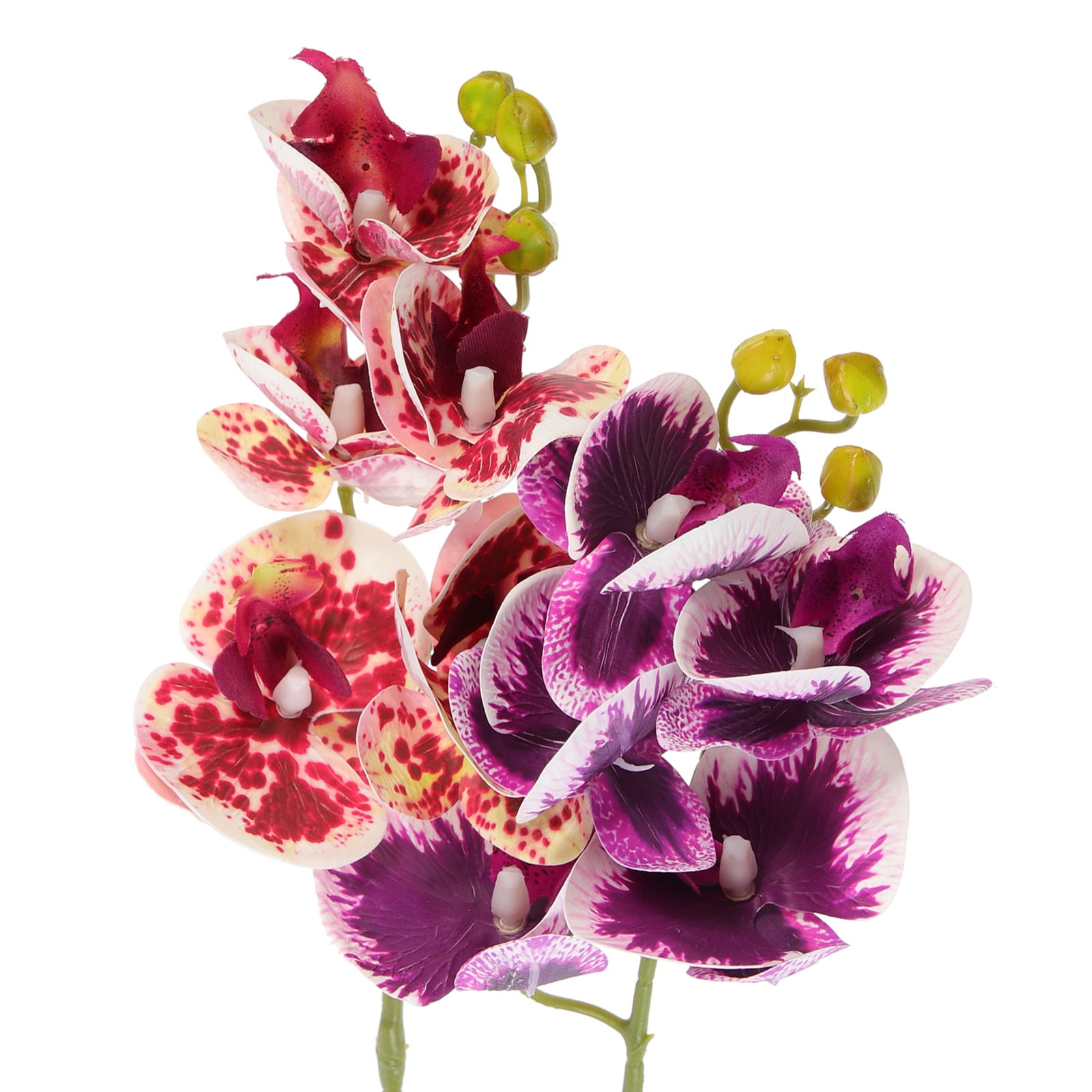 HEMOTON Lifelike Reptile Plants for Terrarium Decoration Made of ...