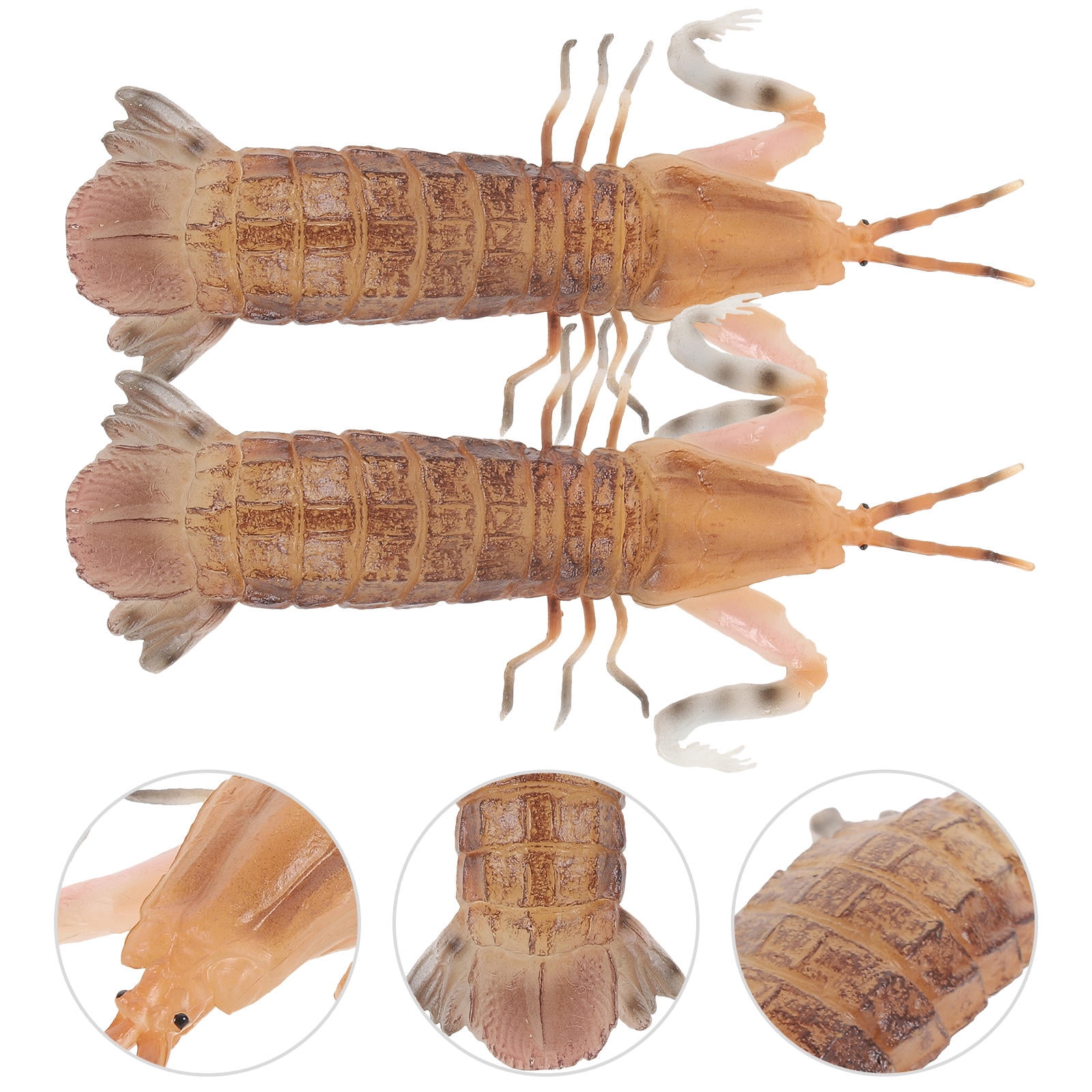 HEMOTON 2 Pcs Simulated Shrimp Model Marine Life Model Safe Shrimp ...