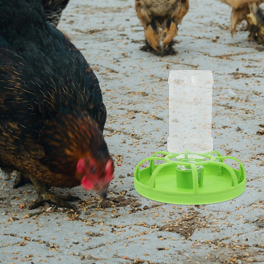 HEMOTON 2 Sets Plastic Chick Feeder Quail Feeder Poultry Food Container ...