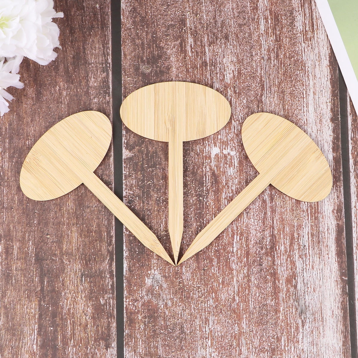 HEMOTON 20 Pcs Plant Marker Garden Bamboo Label Insert Seeds Signage ...