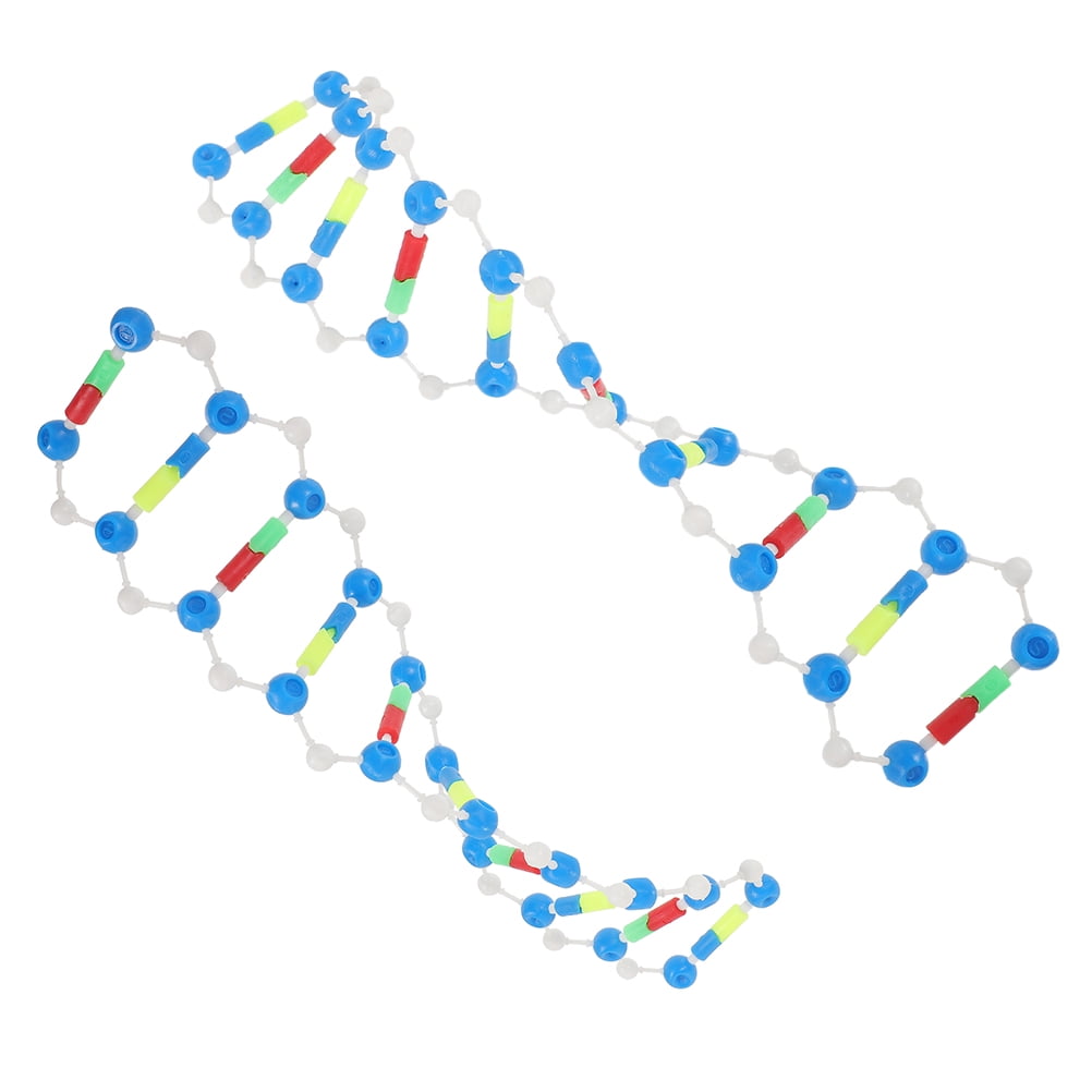 HEMOTON 2pcs Molecular Model Kit Dna Model Double Helix Structure Model ...
