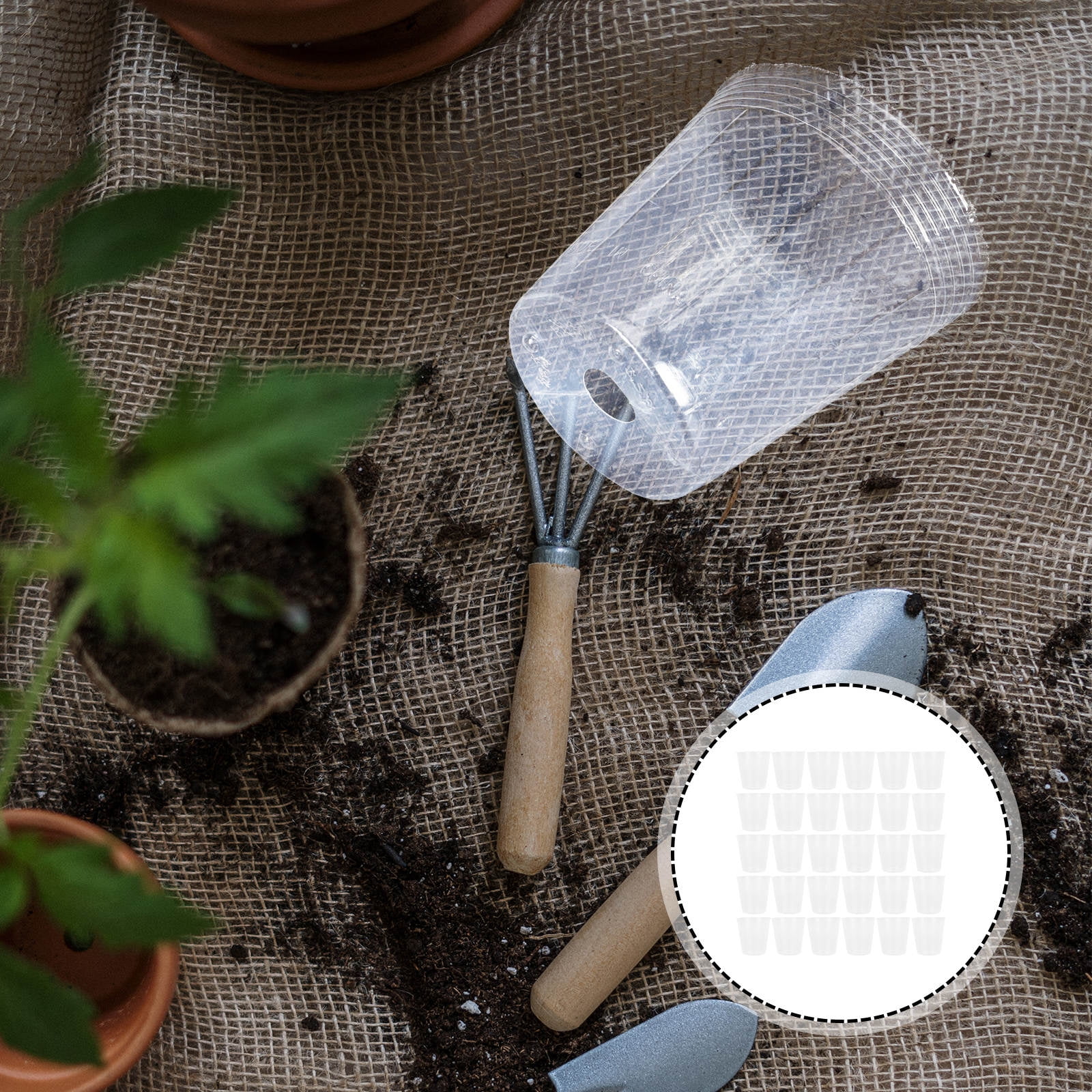 HEMOTON 30 Pcs Garden Orchid Pots Nursery Cup Gardening Cups Sprouting ...