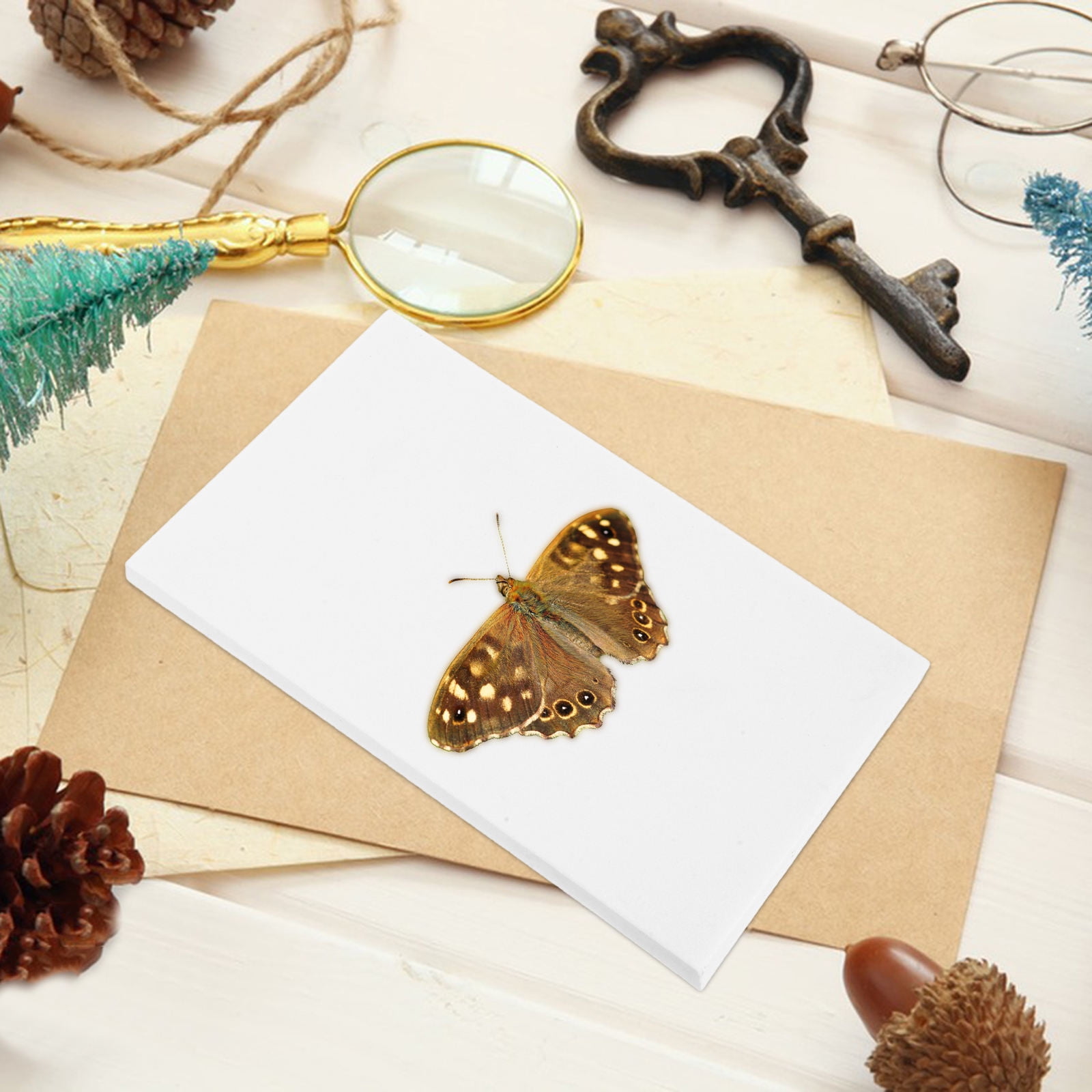 HEMOTON 3pcs Butterfly Pinning Board Specimen Panel Specimen Spreading ...