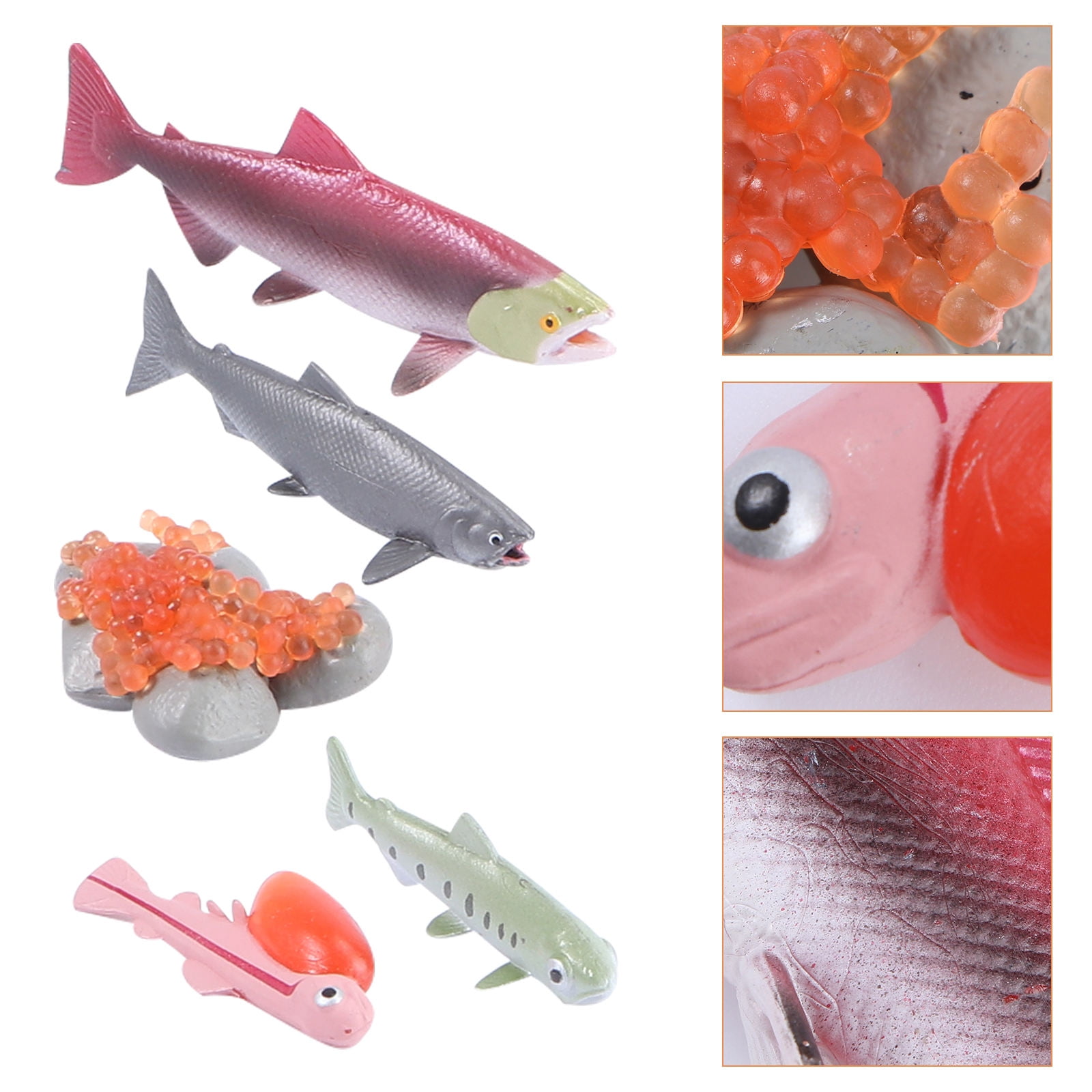 HEMOTON 4 Pcs Growth Cycle Model Realistic Salmon Figure Lifelike ...