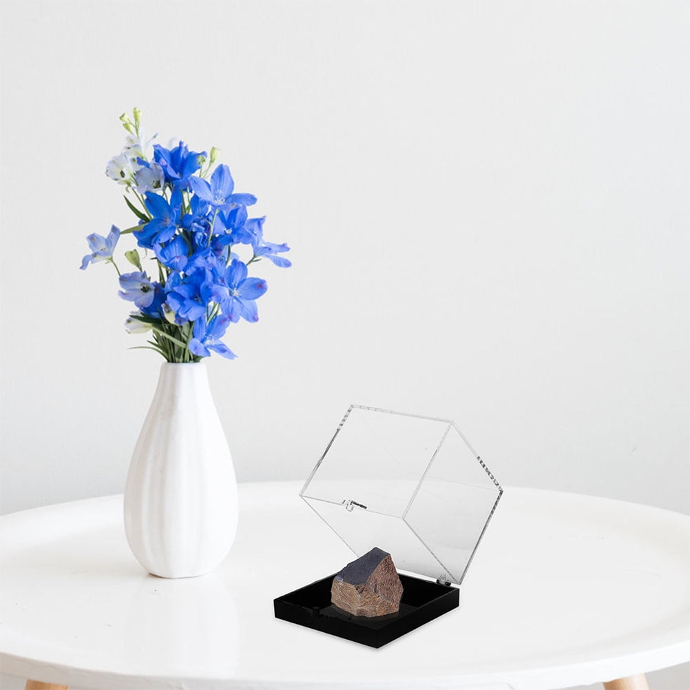 HEMOTON 4pcs Specimen Display Boxes for Rock Collection Clear Display ...