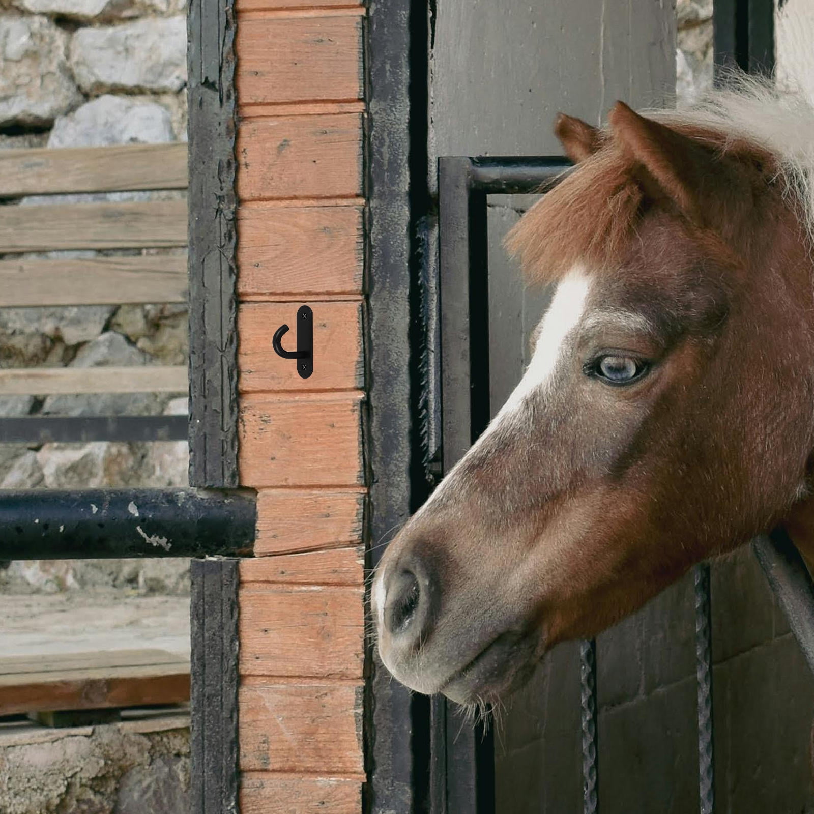 HEMOTON 4pcs Stable Horse Feeder Hook Stable Feeder Bucket Hook Barn ...