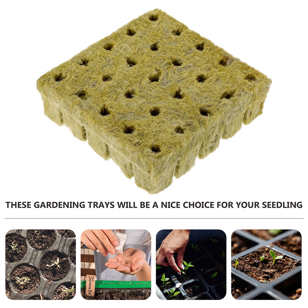 Phenofice Grow Plug Hydroponic 50Pcs Rooting Cubes for Rapid Breeding ...