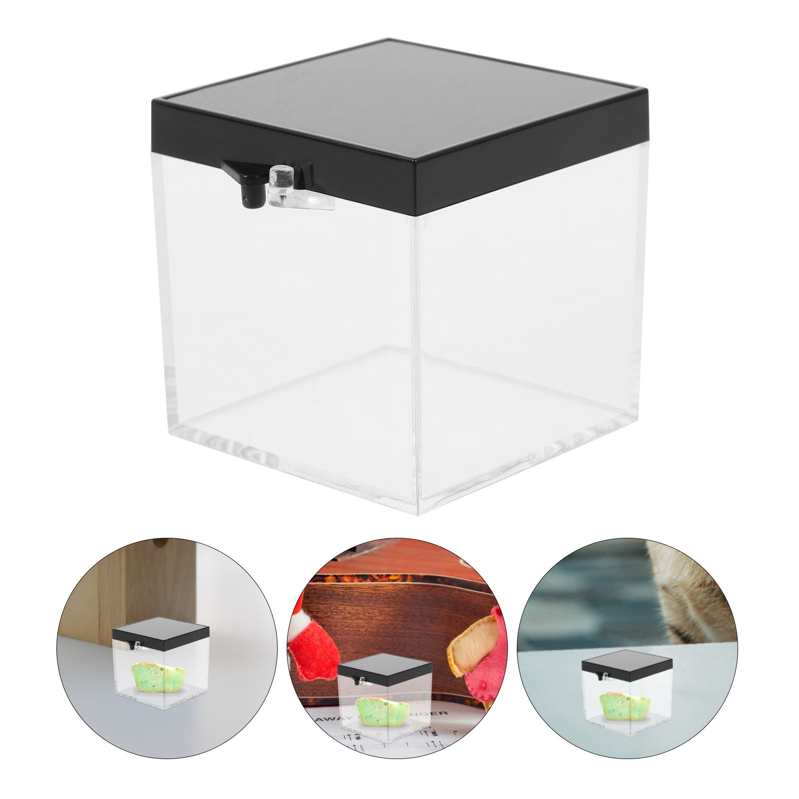 HEMOTON Transparent Acrylic Specimen Display Box for Storage Strong and ...