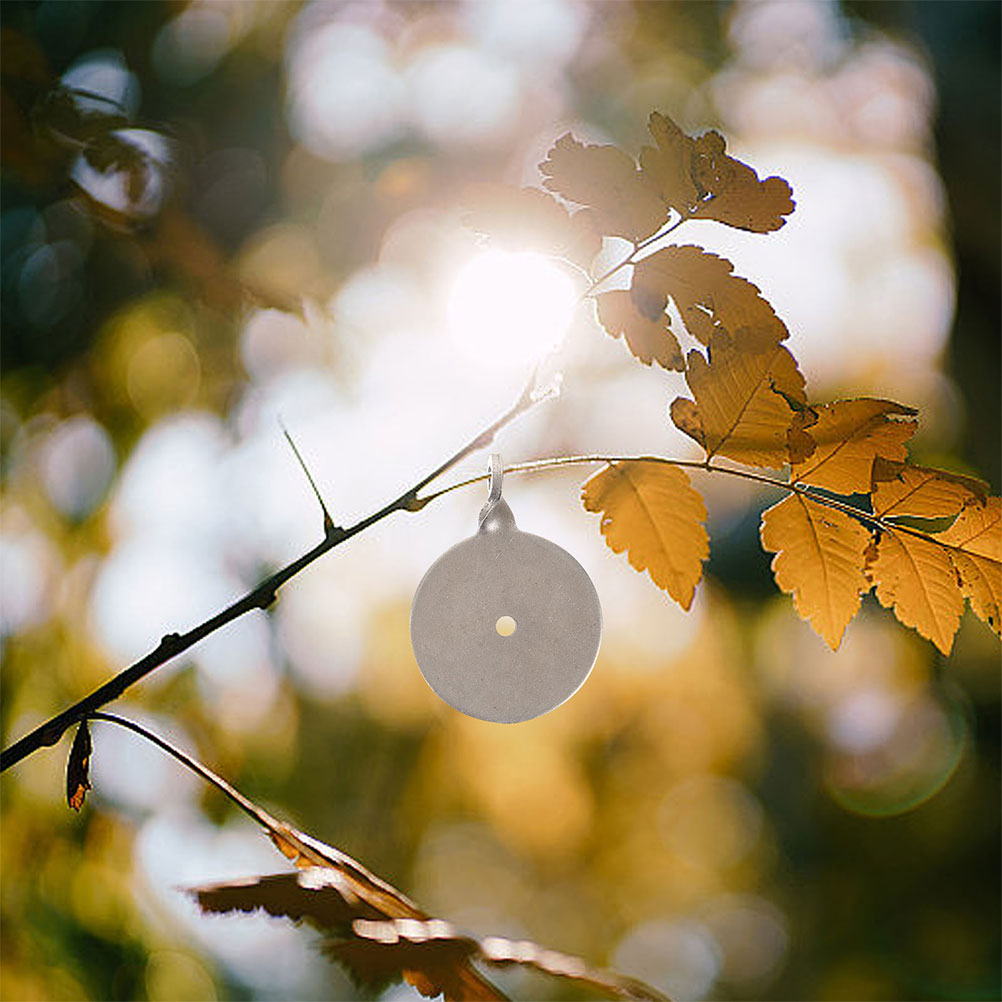 HEMOTON Stainless Steel Gong Target with Bullseye for Training Use ...