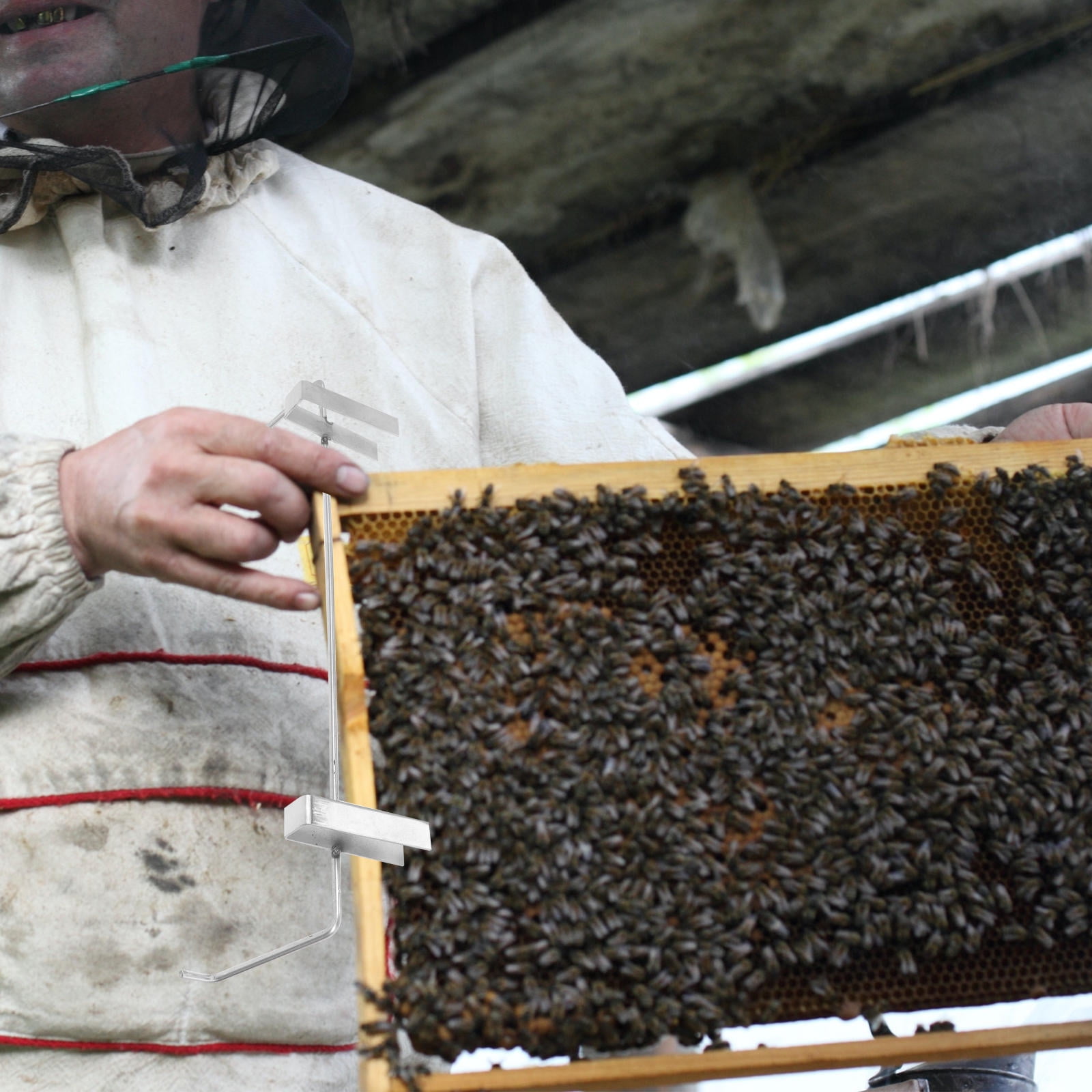 HEMOTON 不锈钢 框搁置架 Beehive Frame Holder Rack Beekeeper Equipment ...