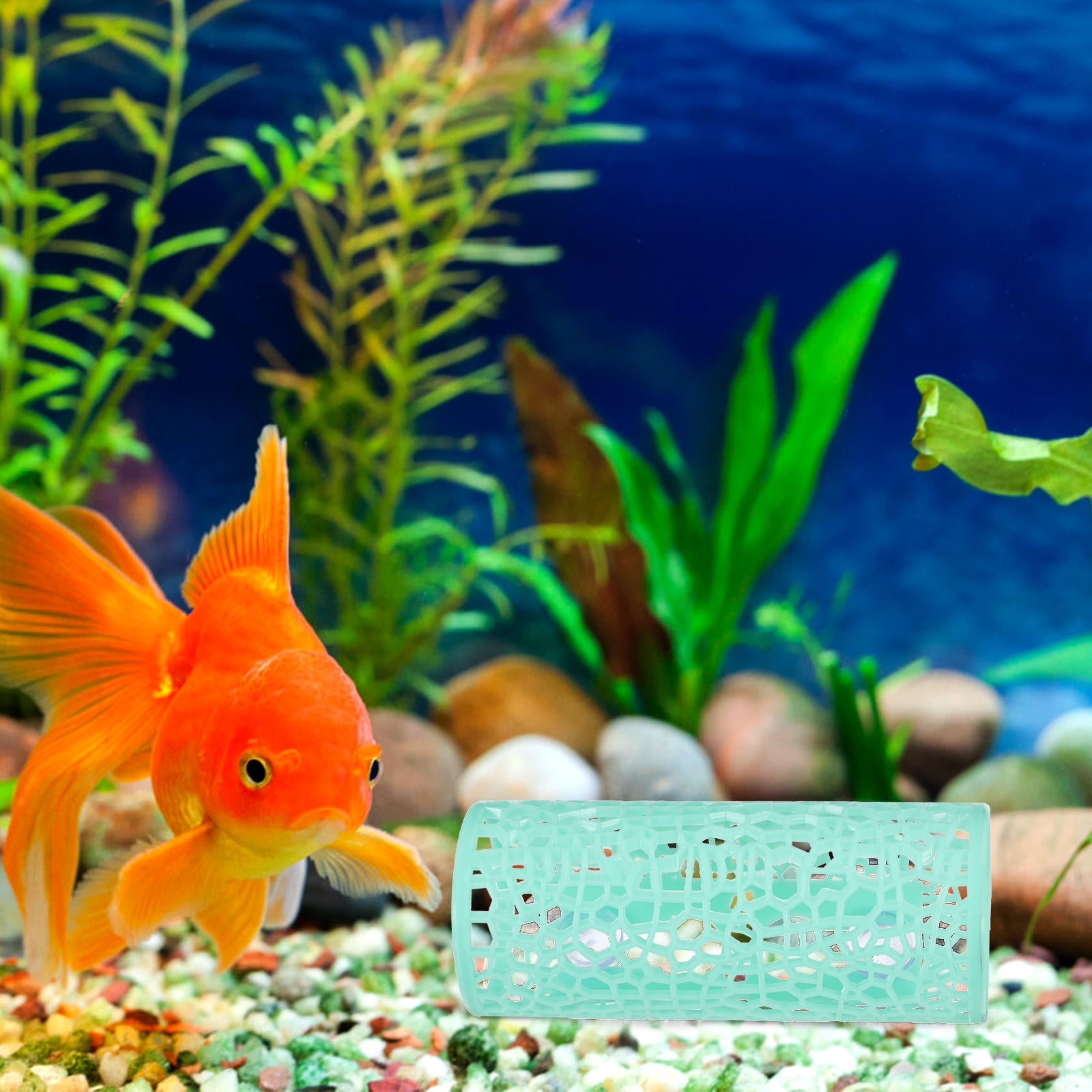 HEMOTON Betta Fish Tunnel Aquarium Hideaway Tunnel Fish Tank Hole ...