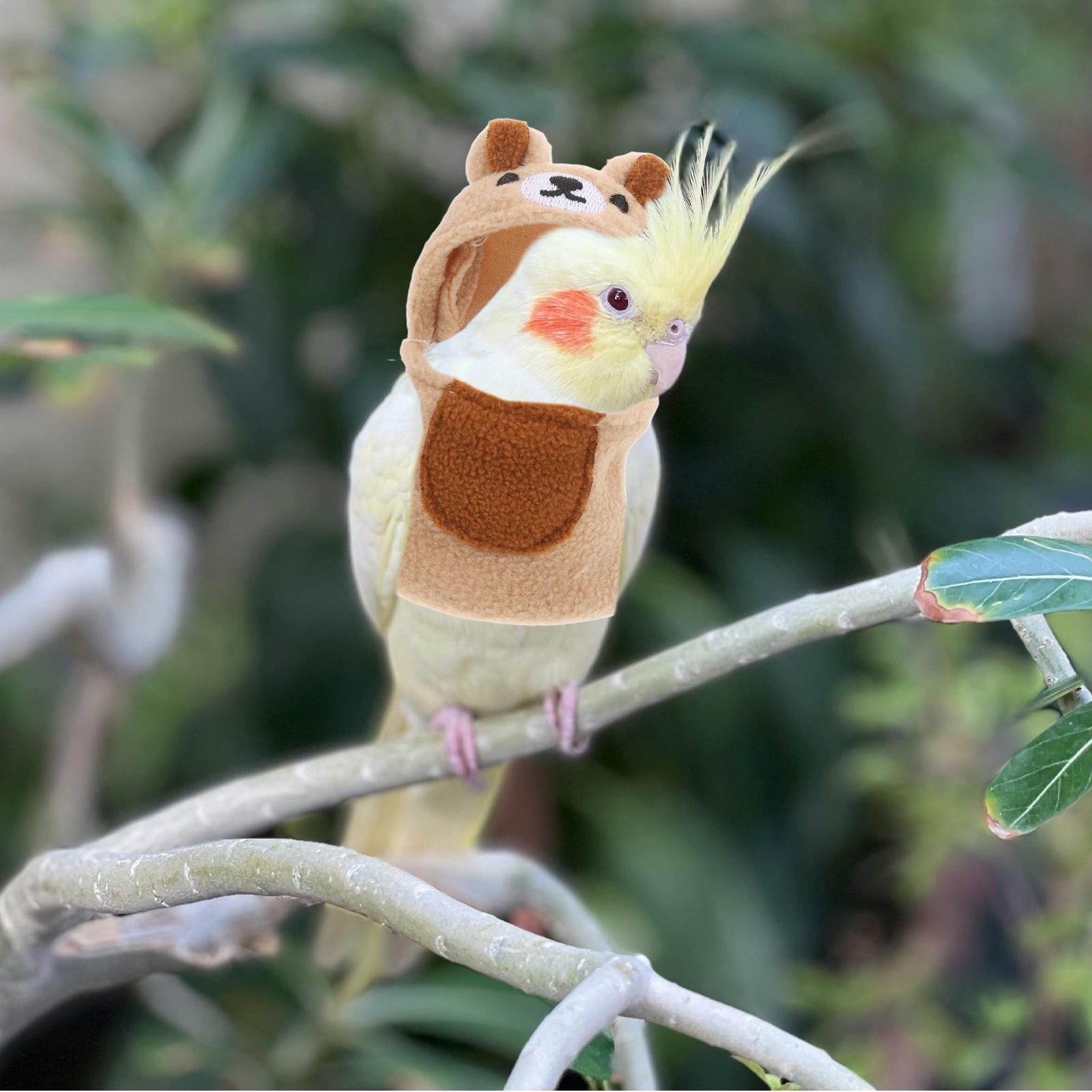 HEMOTON Bird Diaper Clothes Cockatiels Bird Cosplay Clothes Bird ...