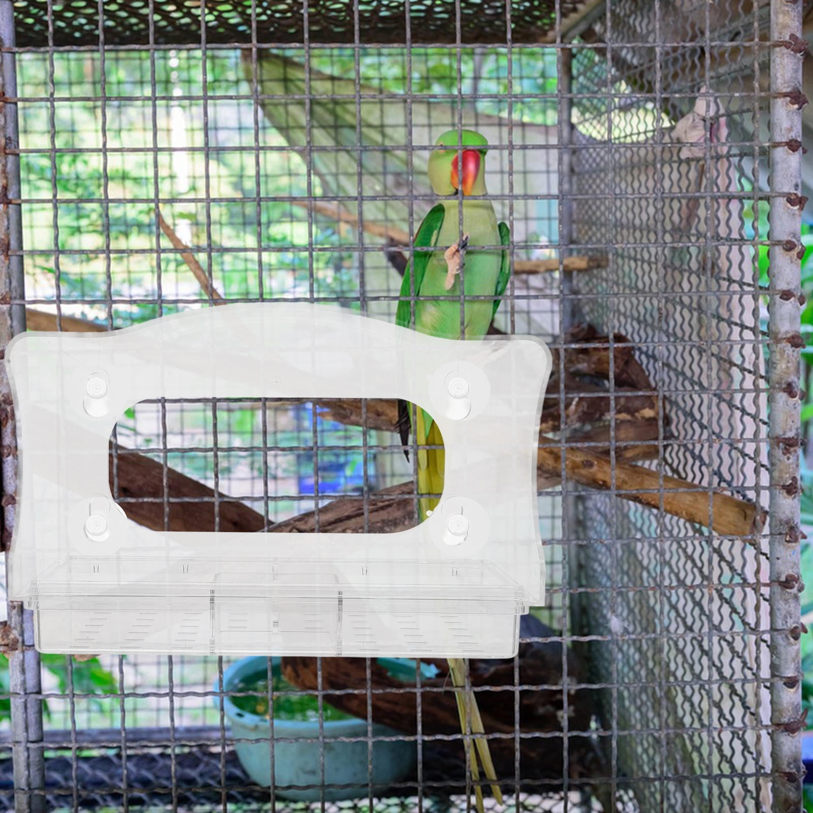 HEMOTON Bird Feeder Transparent Feeder Birds Food Feeder Bird Feeder ...