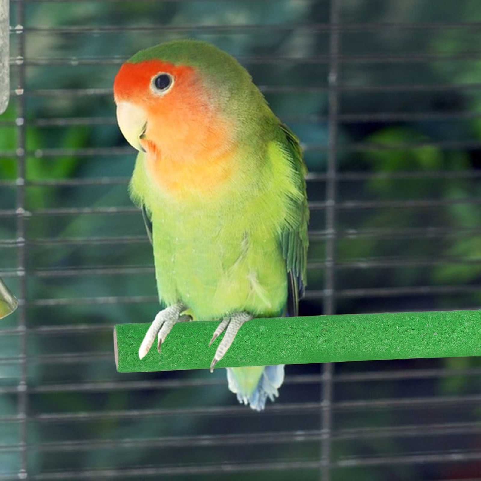 HEMOTON Bird Shower Perch With Suction Cup Portable Wooden Stand For ...