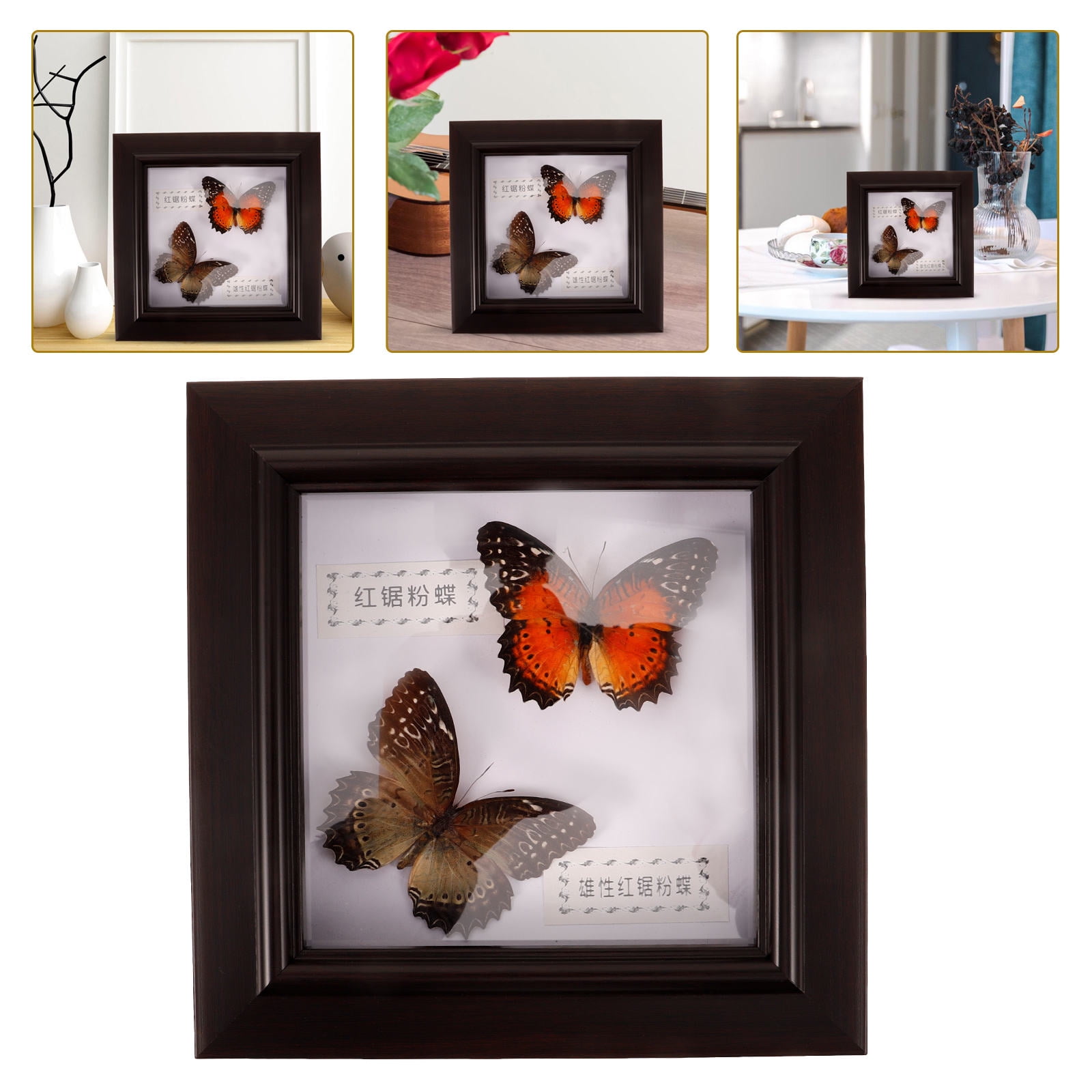 DEEPCRAFF Butterfly Specimen Frame Multi Color Wooden 1Pcs 6.7X6.7X1 ...
