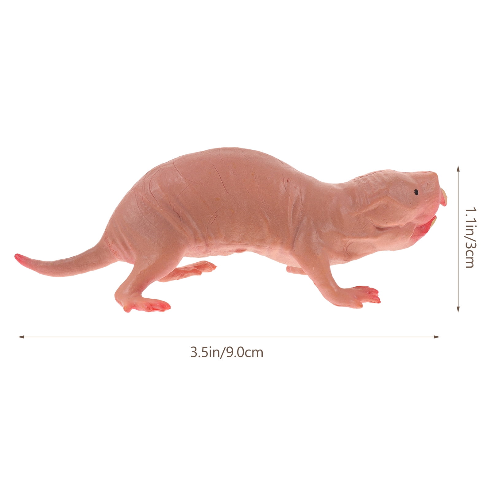 Hytrove Simulated Mole Model Beige High-Grade Plastic 1Set 3.54X1.57X1 ...