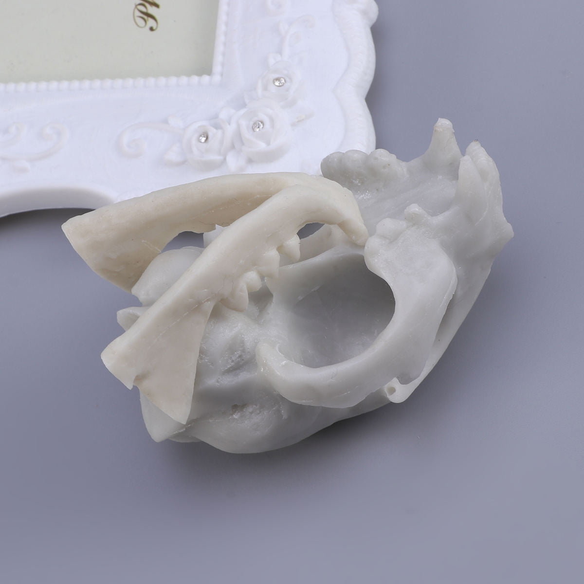 HEMOTON Cat The Lucky Skull Model Fish Tank Figurine Aquarium ...