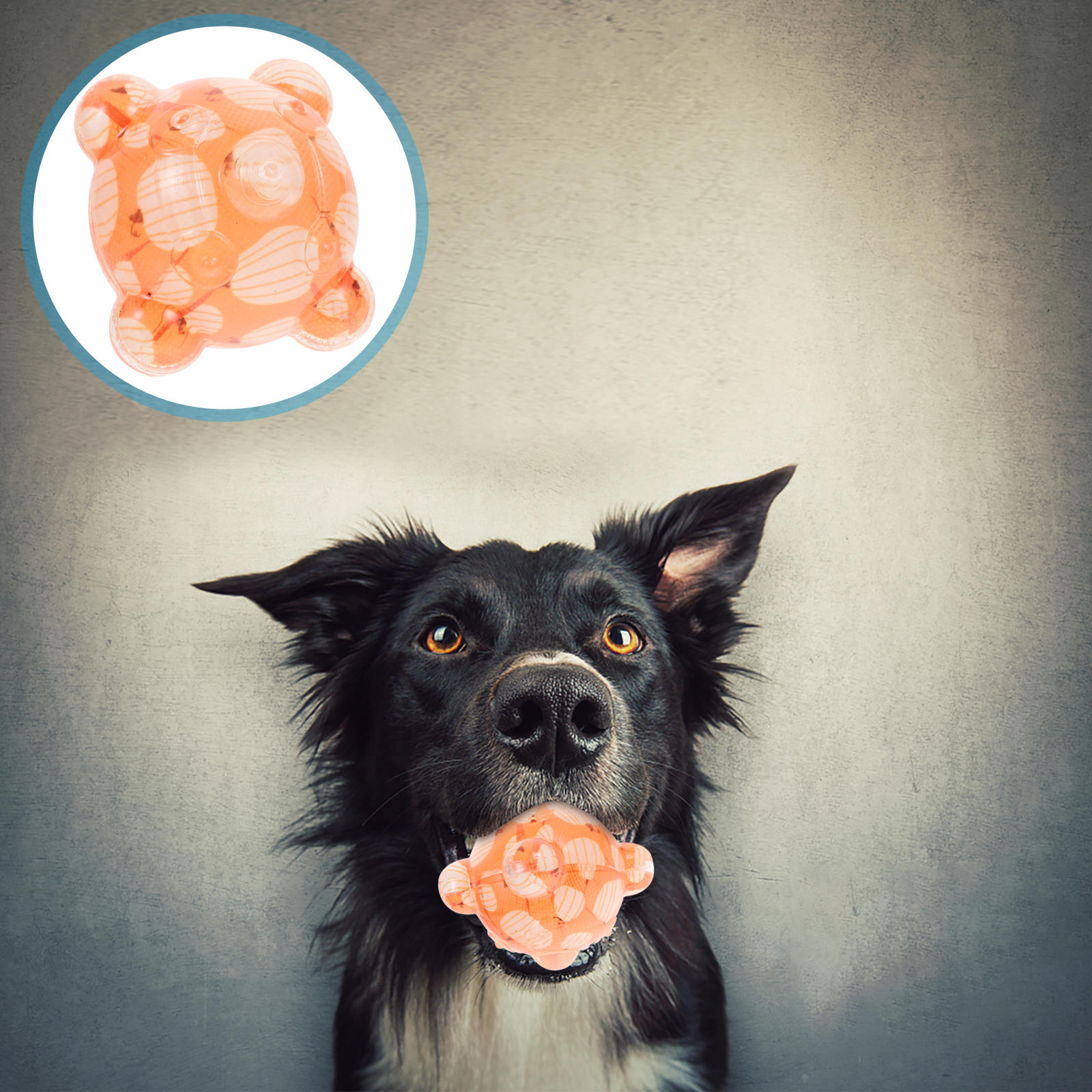 HEMOTON Chew Resistant Compact Dog Toy for Increased Interactive Play ...