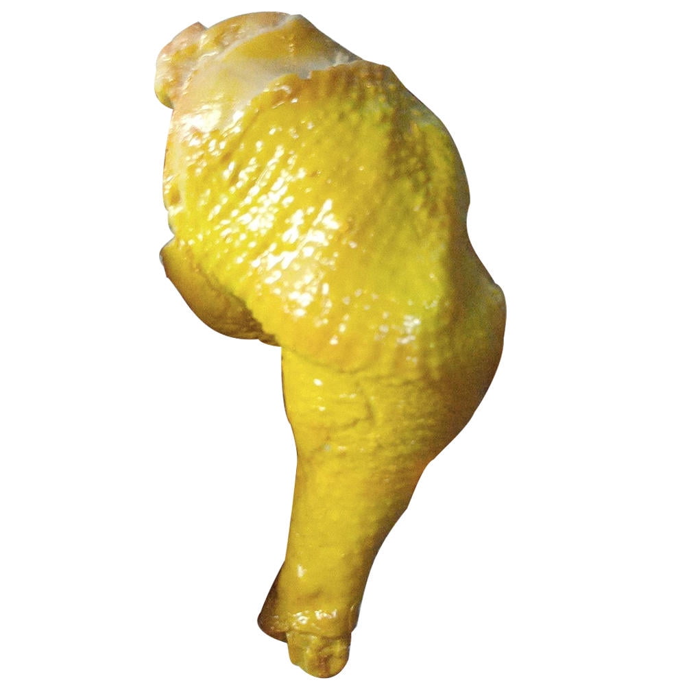 HEMOTON Chicken Photo Prop Simulated Chicken Leg Model Chicken Leg ...