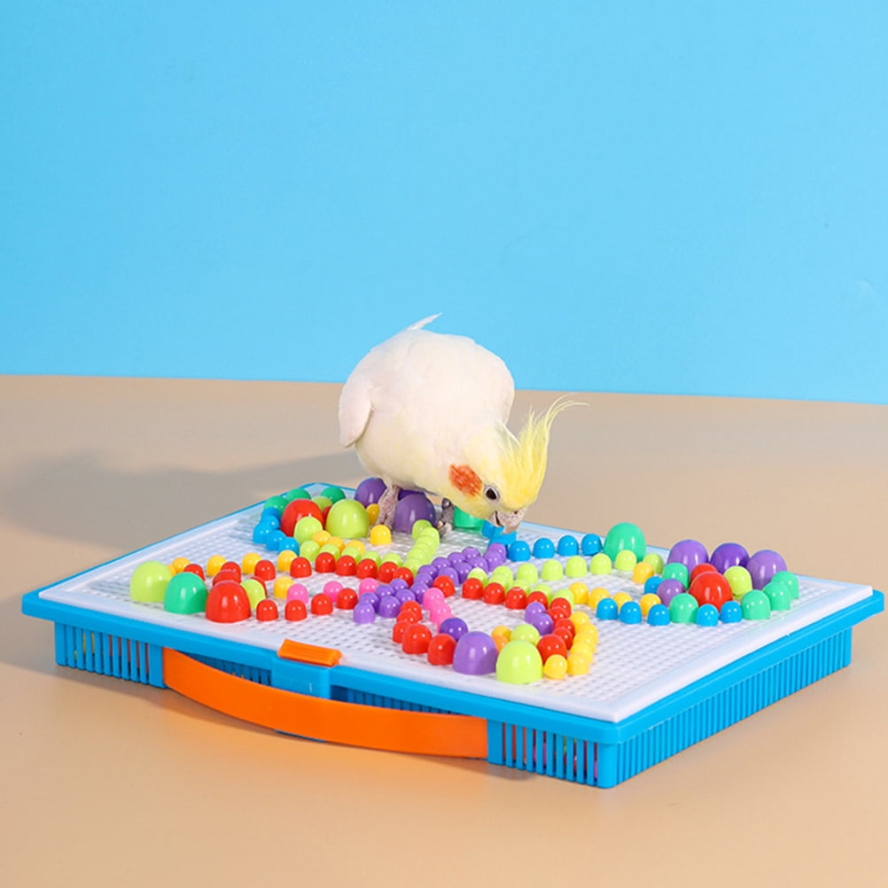 HEMOTON Creative Birds Funny Molar Toy Parrot Colorful Bite Toy ...