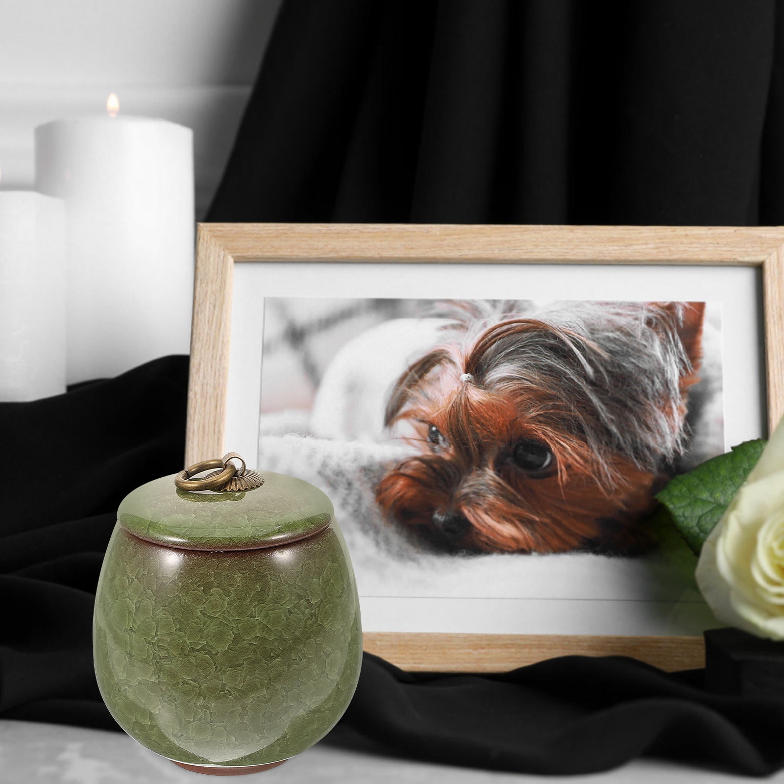 HEMOTON Cremation Urn Keepsake Ceramic Pet Ashes Keepsake Pot Pet Urn ...