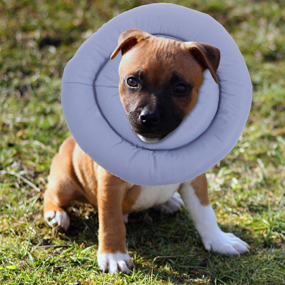 HEMOTON Dog Cone Collar After Surgery Soft And Adjustable Pet Recovery ...