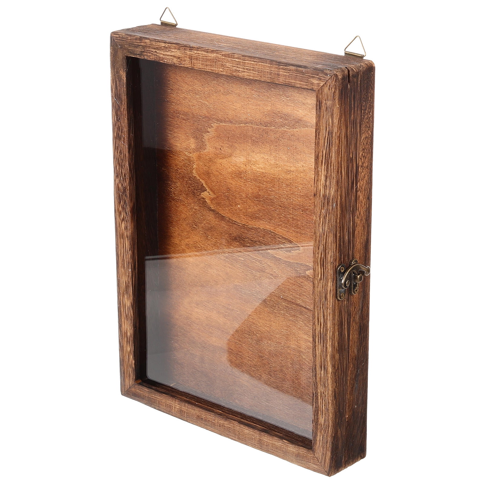 COOPHYA Insect Display Case Acrylic Wood Laboratory Use 1Pack 12.1X8 ...