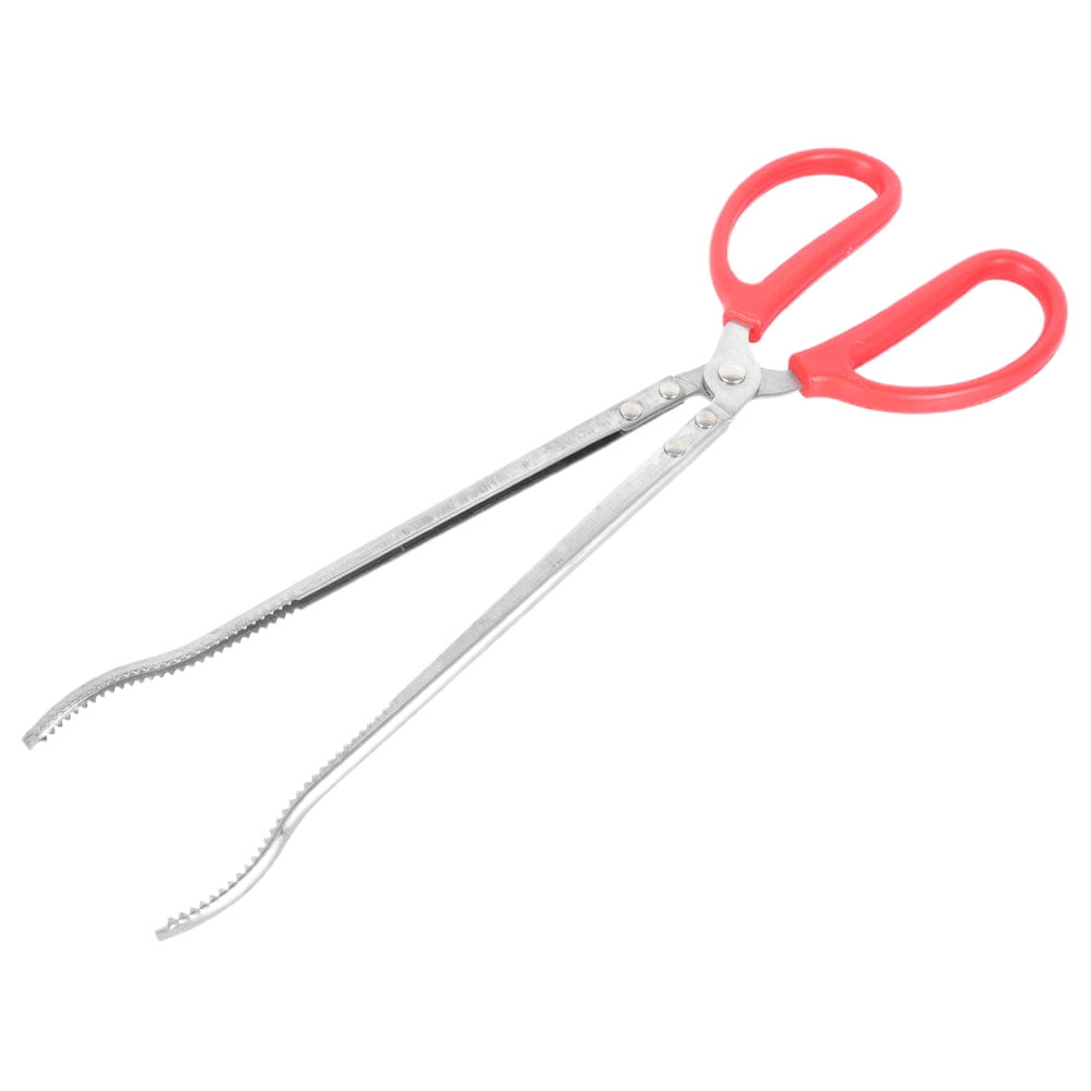 HEMOTON Extra Large Food Clamp For Snack Reptile Portable Metal Feeding ...