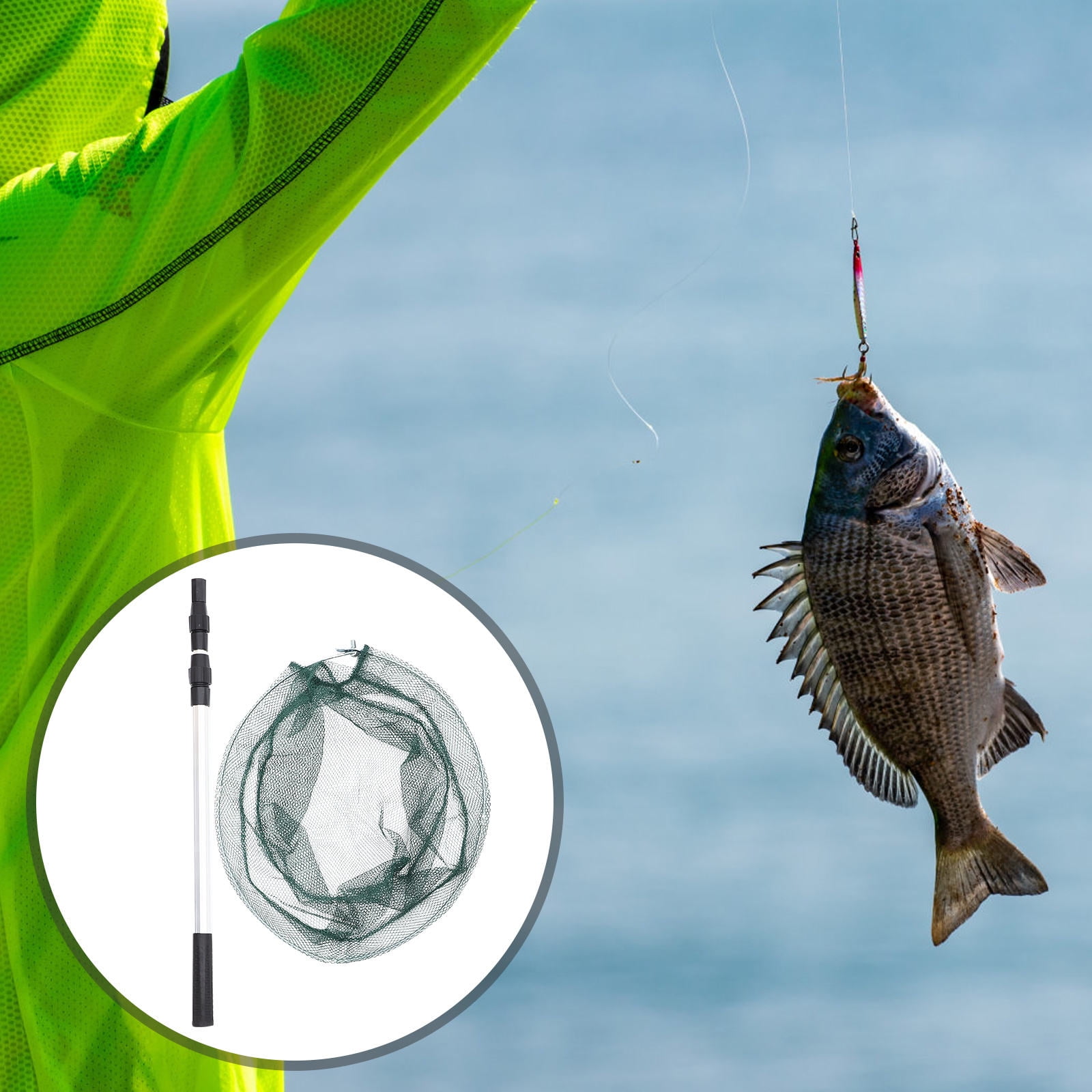 HEMOTON Fishing Net & Release Fish Landing Net Foldable Collapsible ...