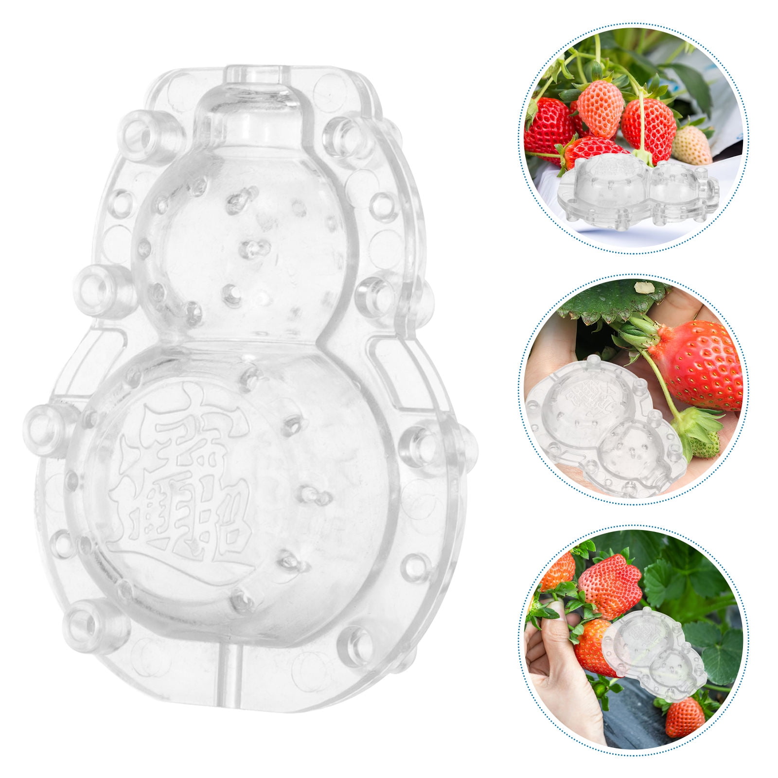 HEMOTON Fruit Shaping Mold Gardening Fruits Shaper Strawberry Molds ...