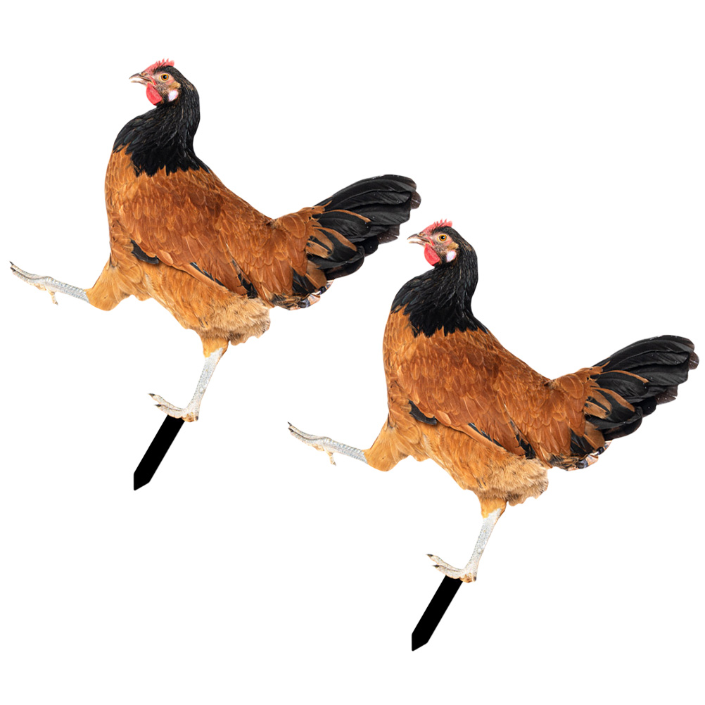 HEMOTON Garden Stakes Art with Acrylic Hen Shaped Stake for Decoration ...