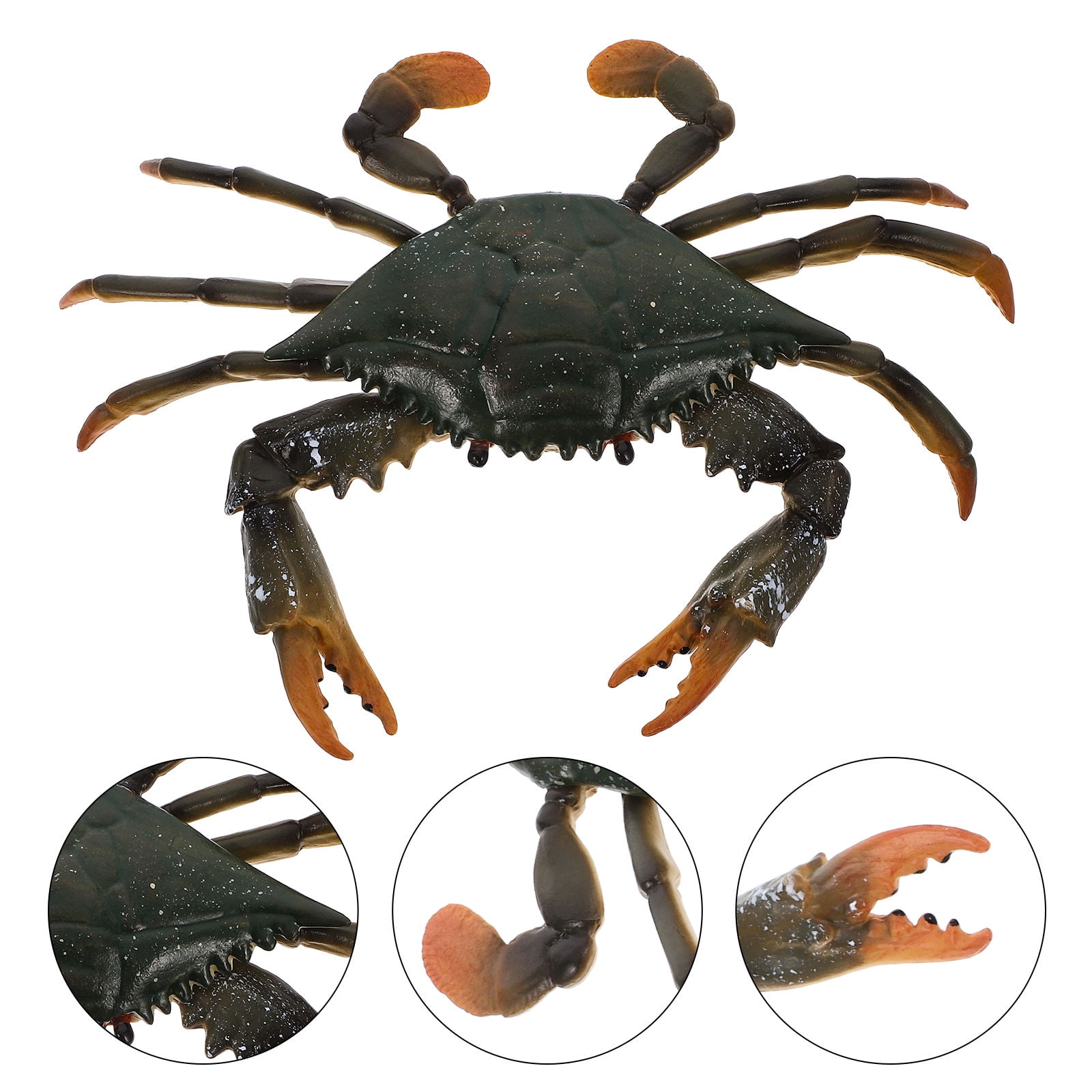 HEMOTON HOMEMAXS 1pc Lifelike Crab Toy Mini Crab Decoration Realistic ...