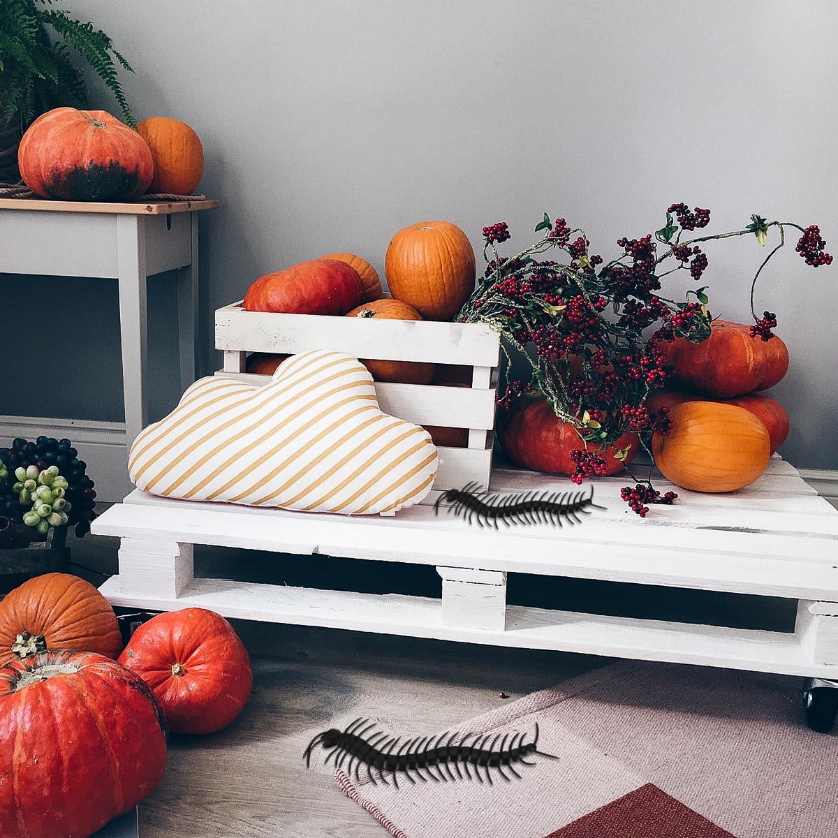 HEMOTON Halloween Trick Props with Vivid Black Centipede Design for ...