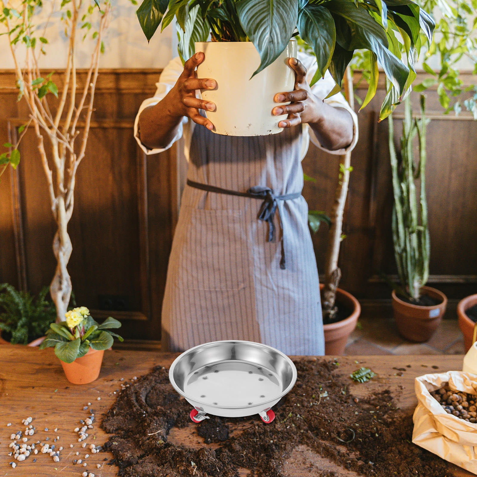 HEMOTON Heavy Duty Plants Dolly With Wheels Stainless Steel Rolling ...