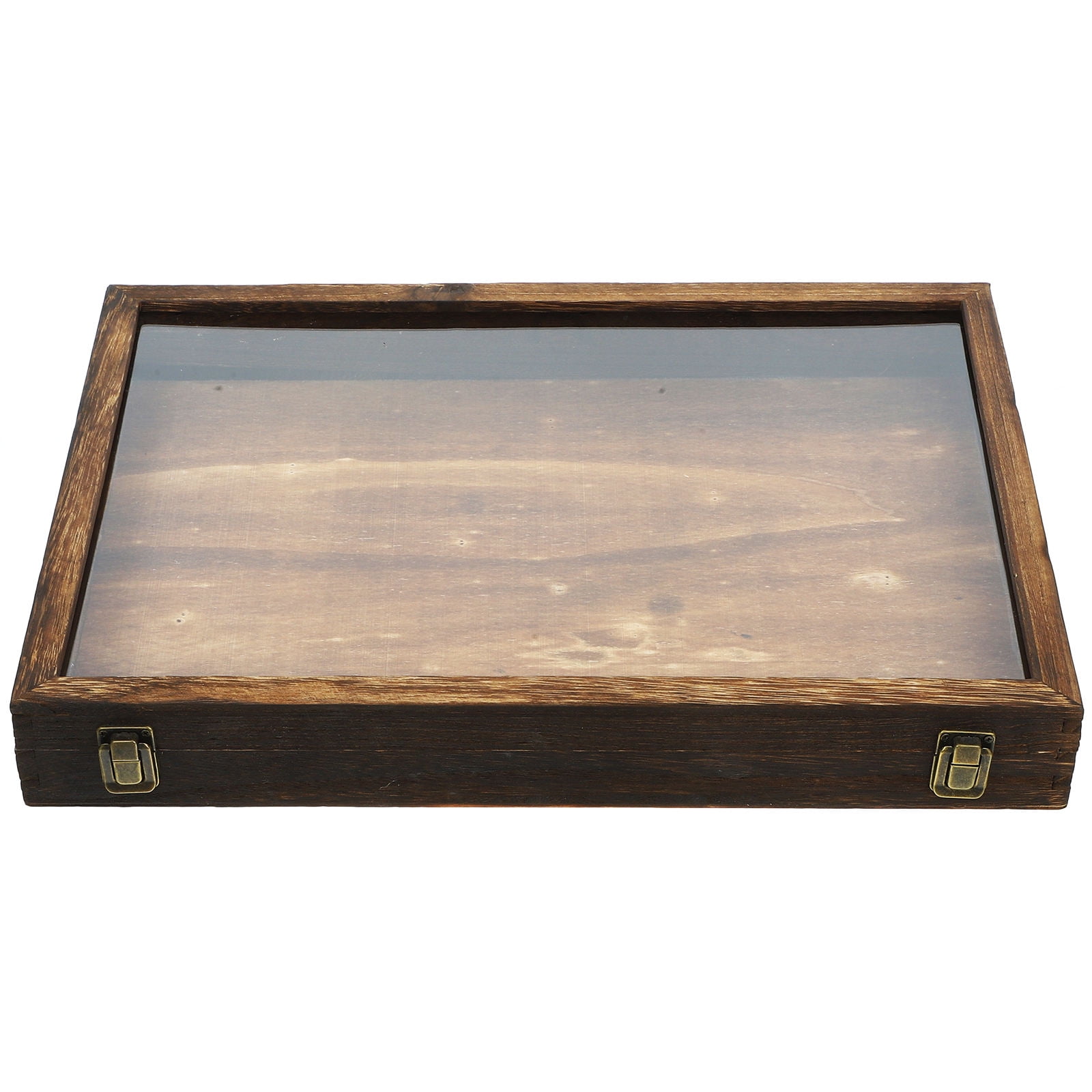 HEMOTON Insect Specimen Container Wood Display Holder Indoor Case Bug ...