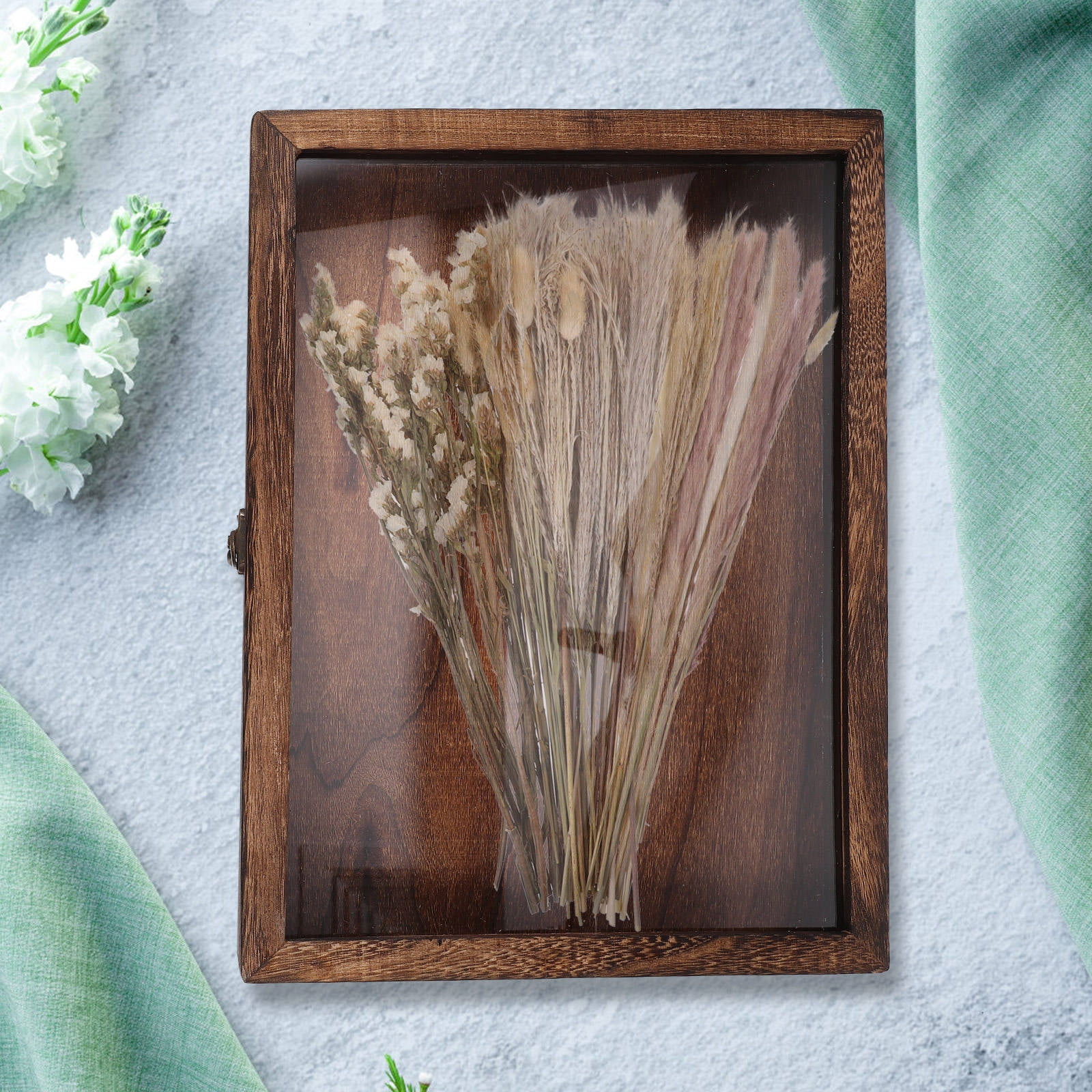 HEMOTON Wooden Specimen Display Box with Clear Lid for Storage Retro ...