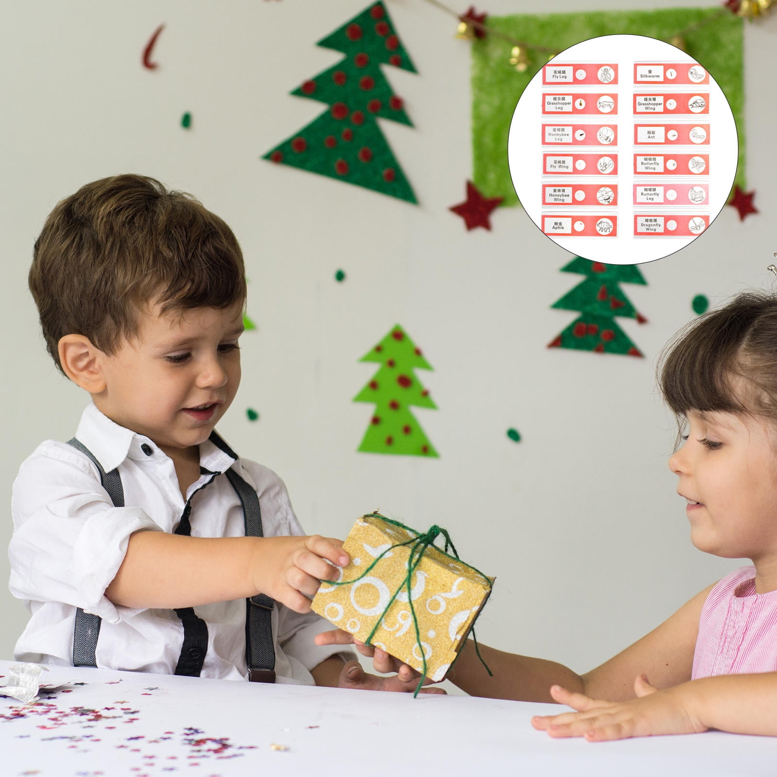 HEMOTON Kids Science Kit Specimen Slide Microscope Accessories Slides ...