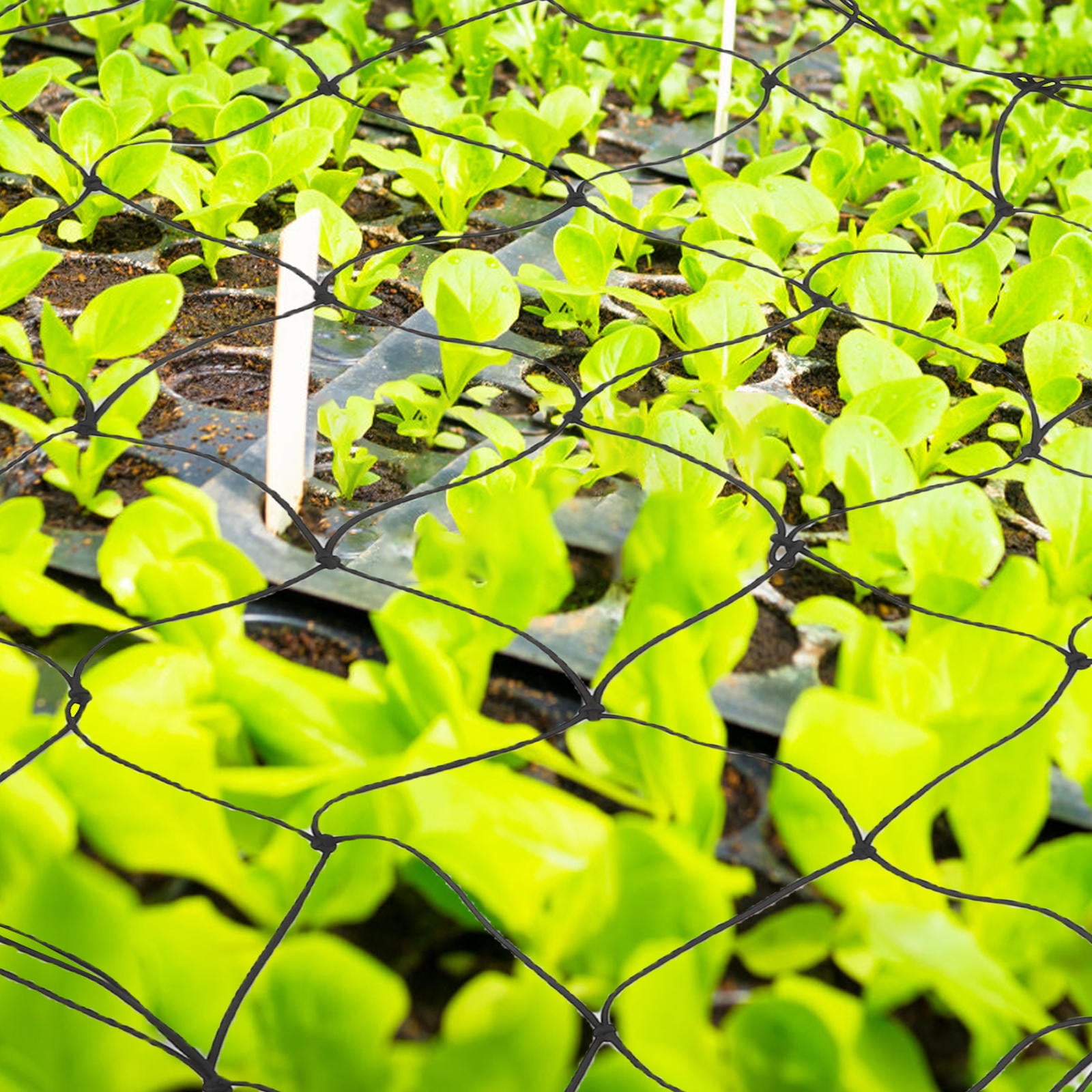 HEMOTON MLINS Indoor Plant Trellis 1 Set Garden Supply Convenient ...