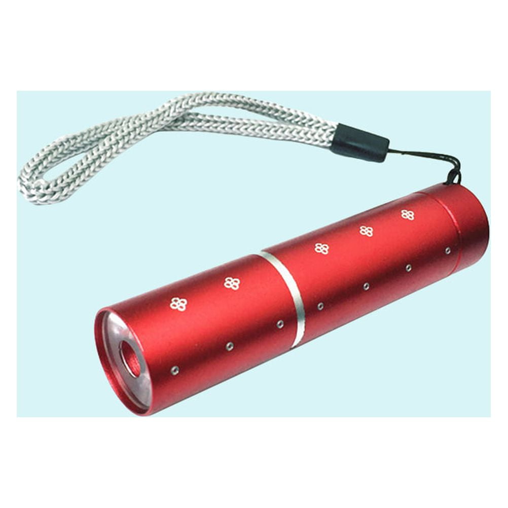 HEMOTON Portable Mini LED Flashlight, Handheld Aluminium Alloy Torch ...