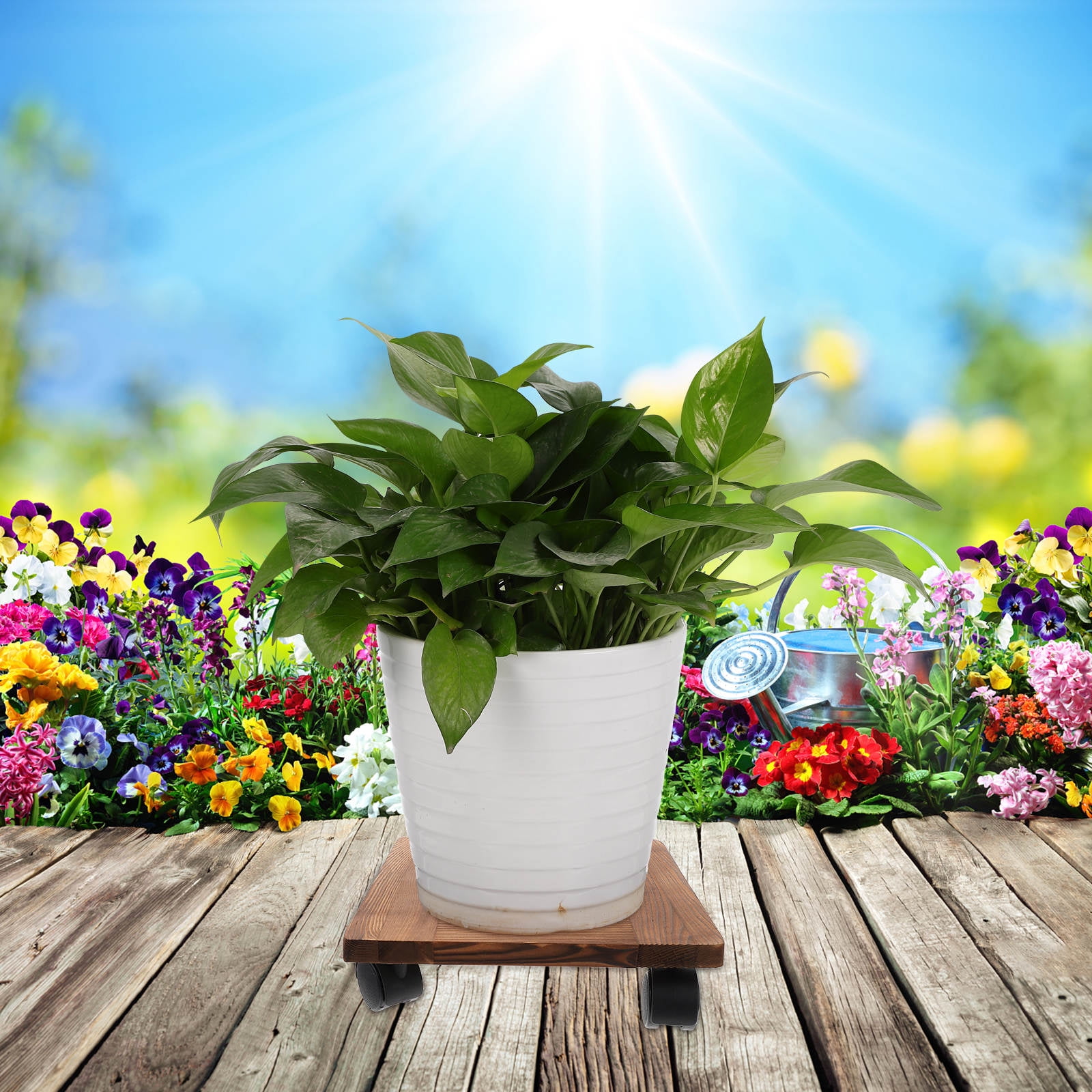 HEMOTON Movable Flower Pot Tray with Smooth Plastic Wheels for Home Use ...