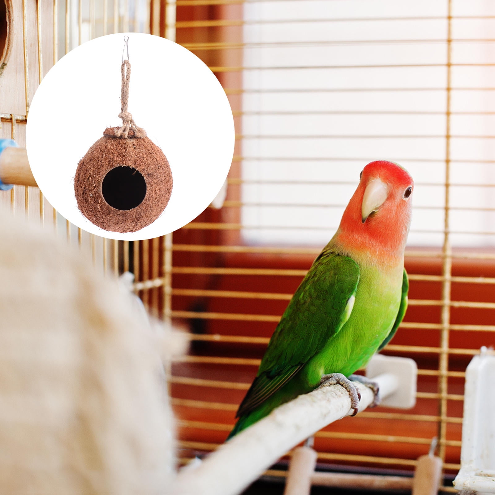 HEMOTON Natural Coconut Shell Bird Nest Hanging Birdhouse Bird Nest ...