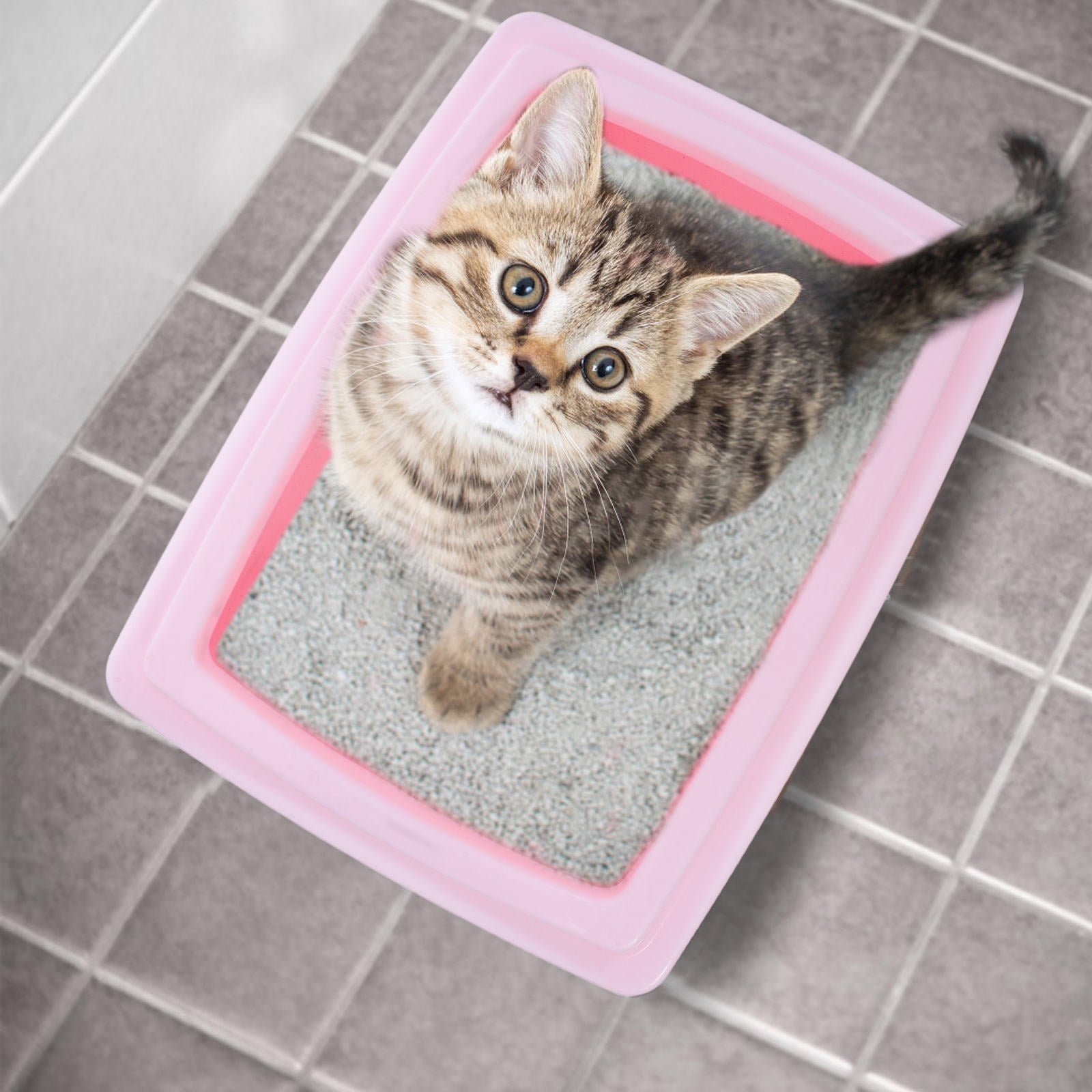 HEMOTON Open Top Kitten Litter Box With Scoop Shallow Cat Toilet ...