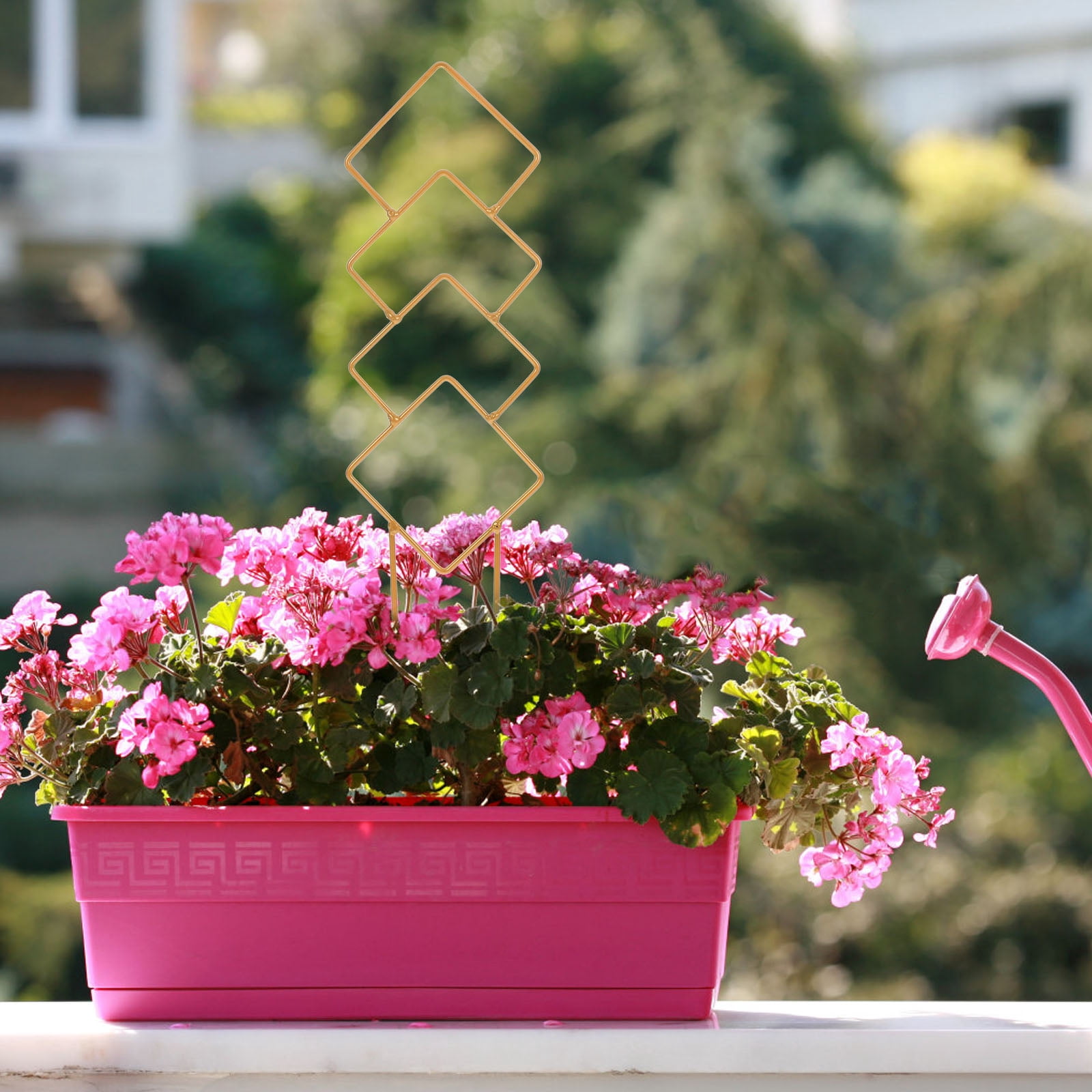 HEMOTON Plant Climbing Frame Potted Trellis Mini Small Plants Golden ...