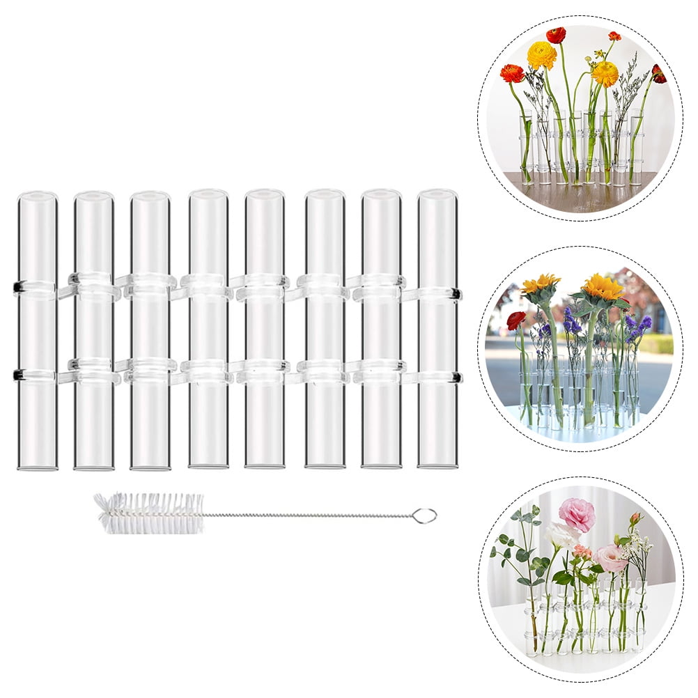 HEMOTON Plant Glass Vase Growth Observation Test Tube Propagation ...