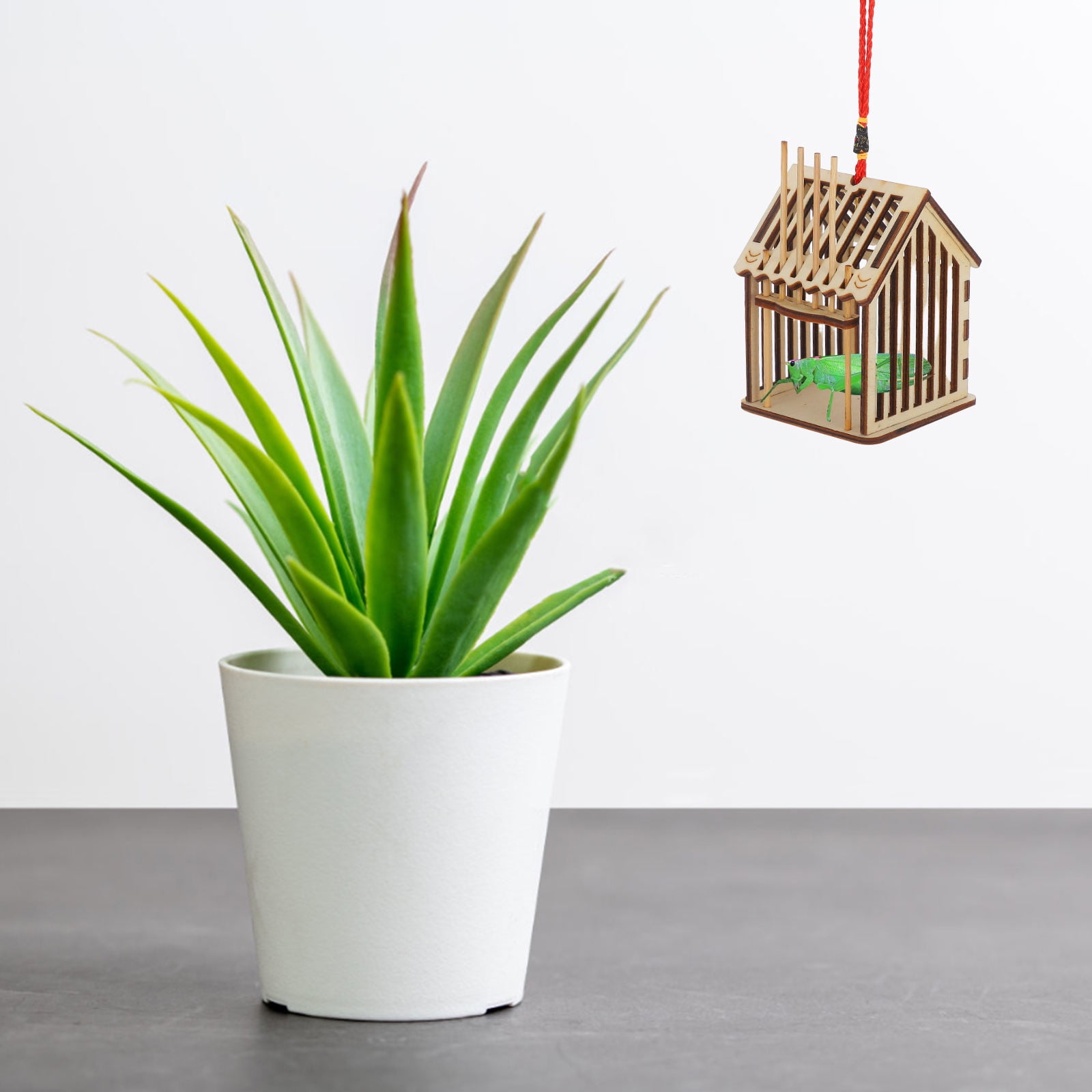 HEMOTON Portable Wooden Cricket Cage Wild Cricket Breeding Habitat For ...