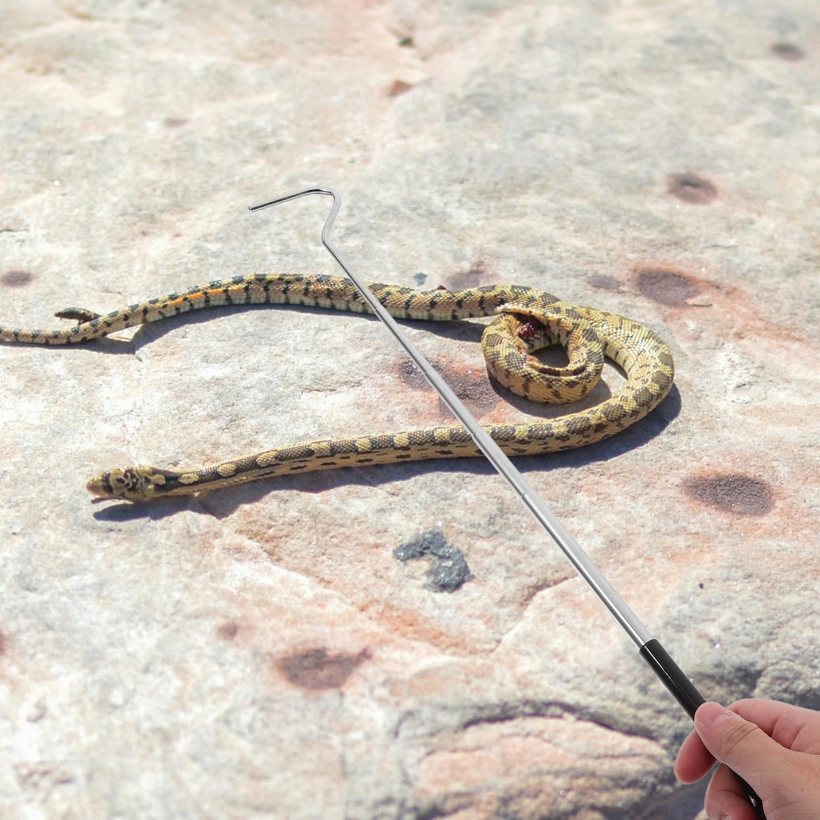 HEMOTON Retractable Stainless Steel Snake Catching Hook for Home Use ...