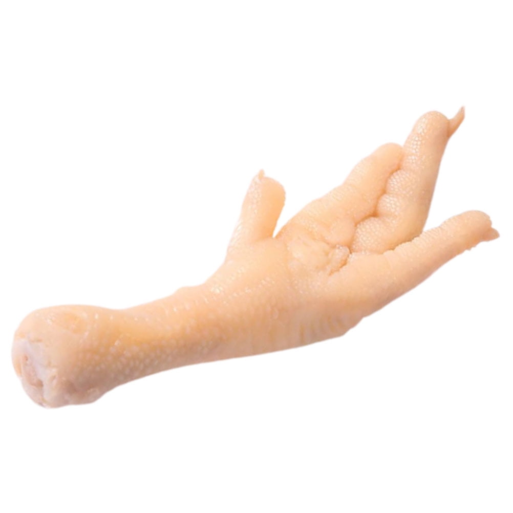 HEMOTON Realistic Chicken Feet Fake Food Model Lifelike Chicken Feet ...
